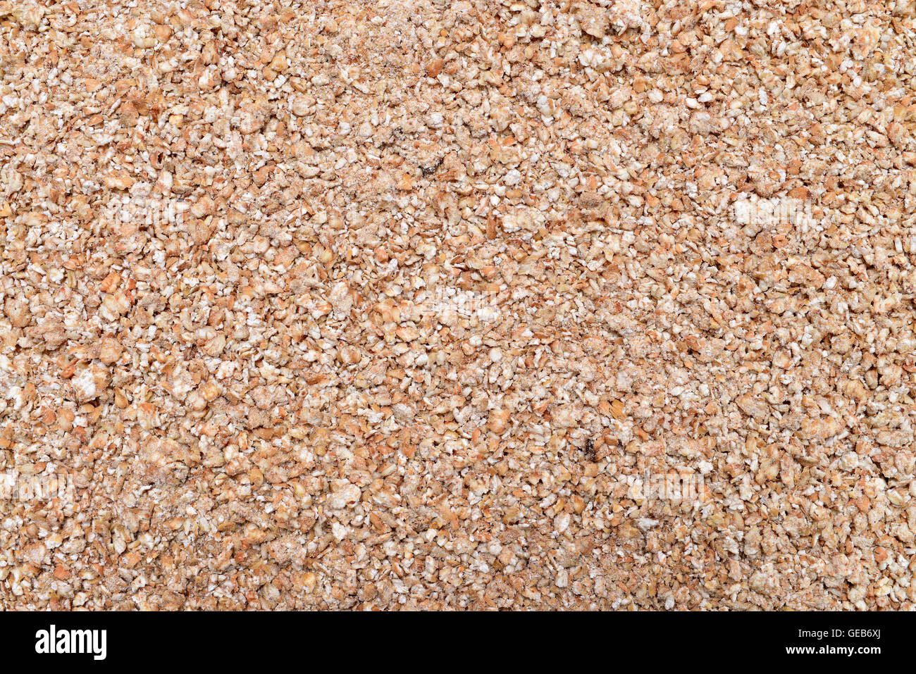 buckwheat cereal plant grinded seeds texture pattern Stock Photo - Alamy