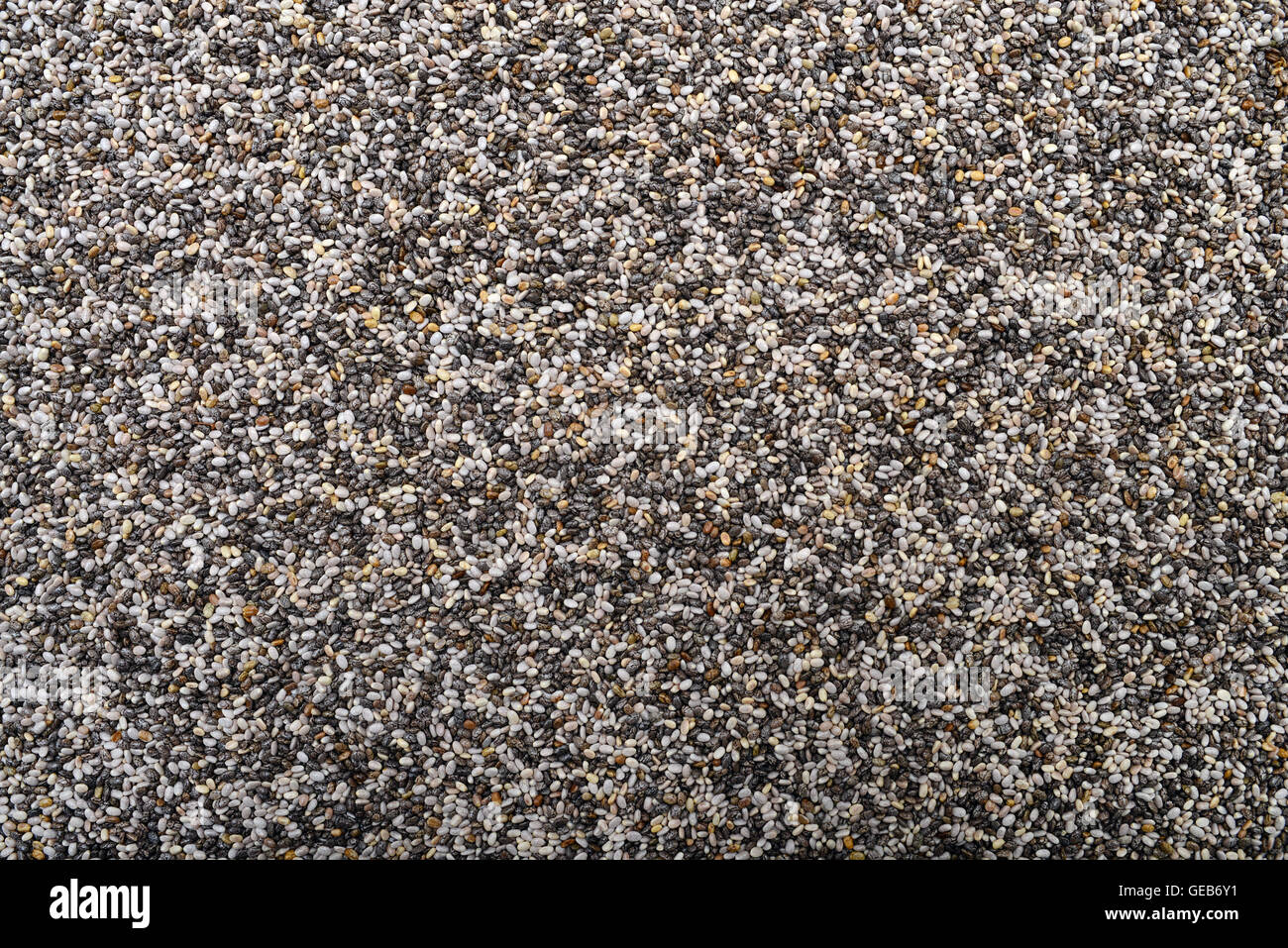 black and white chia plant seeds texture pattern Stock Photo - Alamy