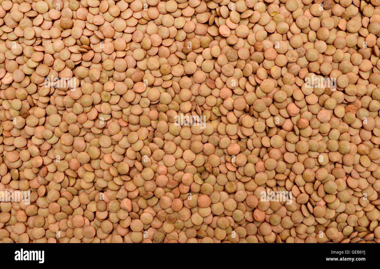 Lentil plant hi-res stock photography and images - Alamy