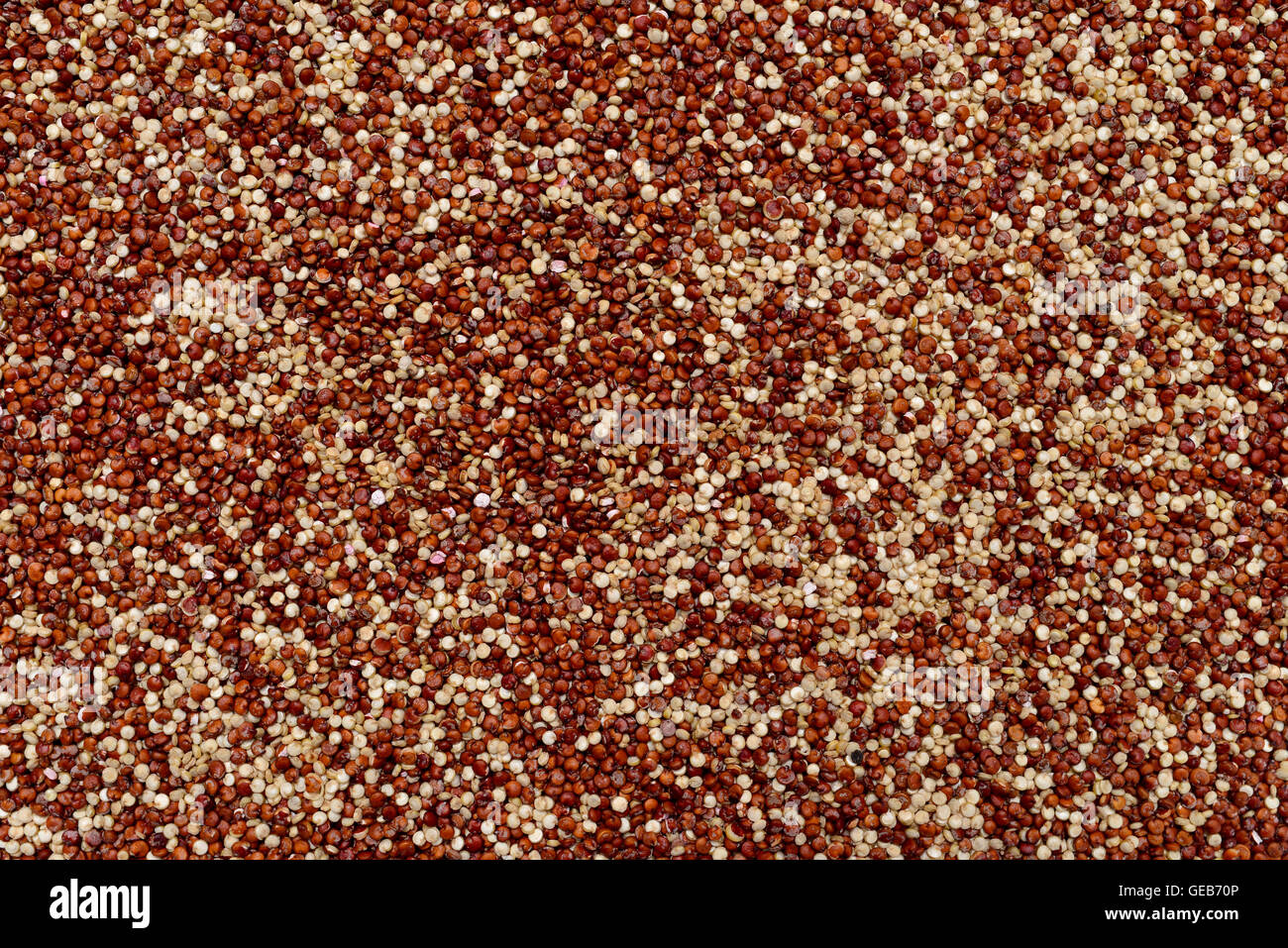 red and white chia plant seeds texture pattern Stock Photo - Alamy
