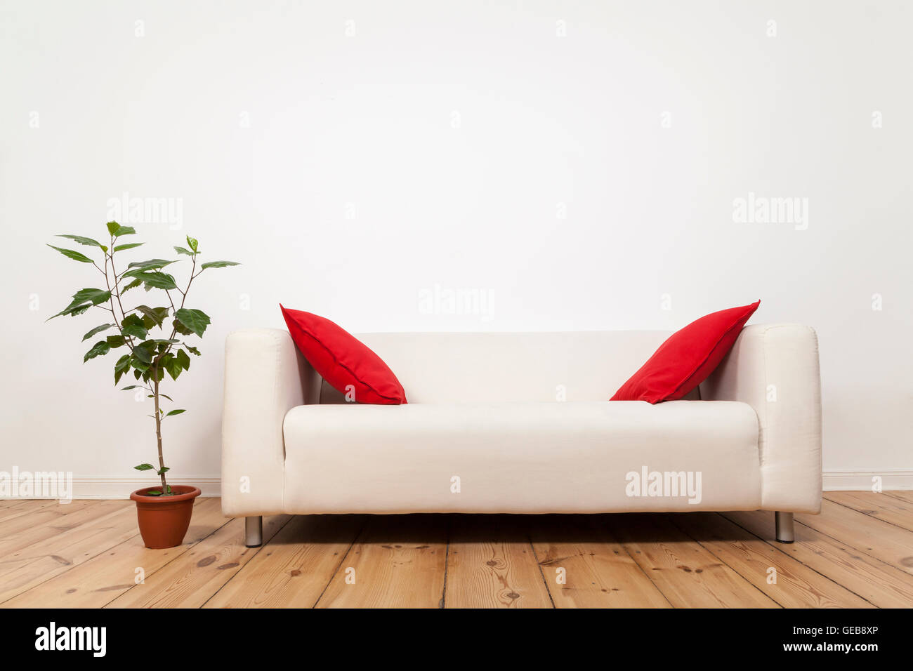 Sofa and flower pot Stock Photo - Alamy