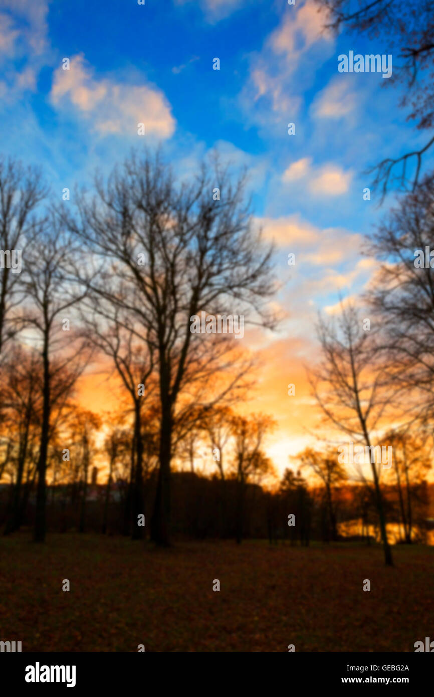 Park at sunset Stock Photo - Alamy