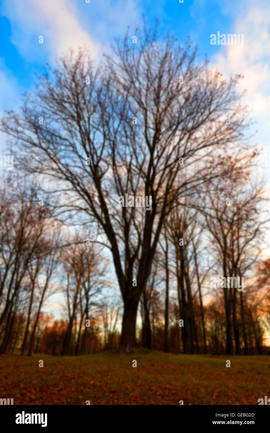 Park at sunset Stock Photo - Alamy