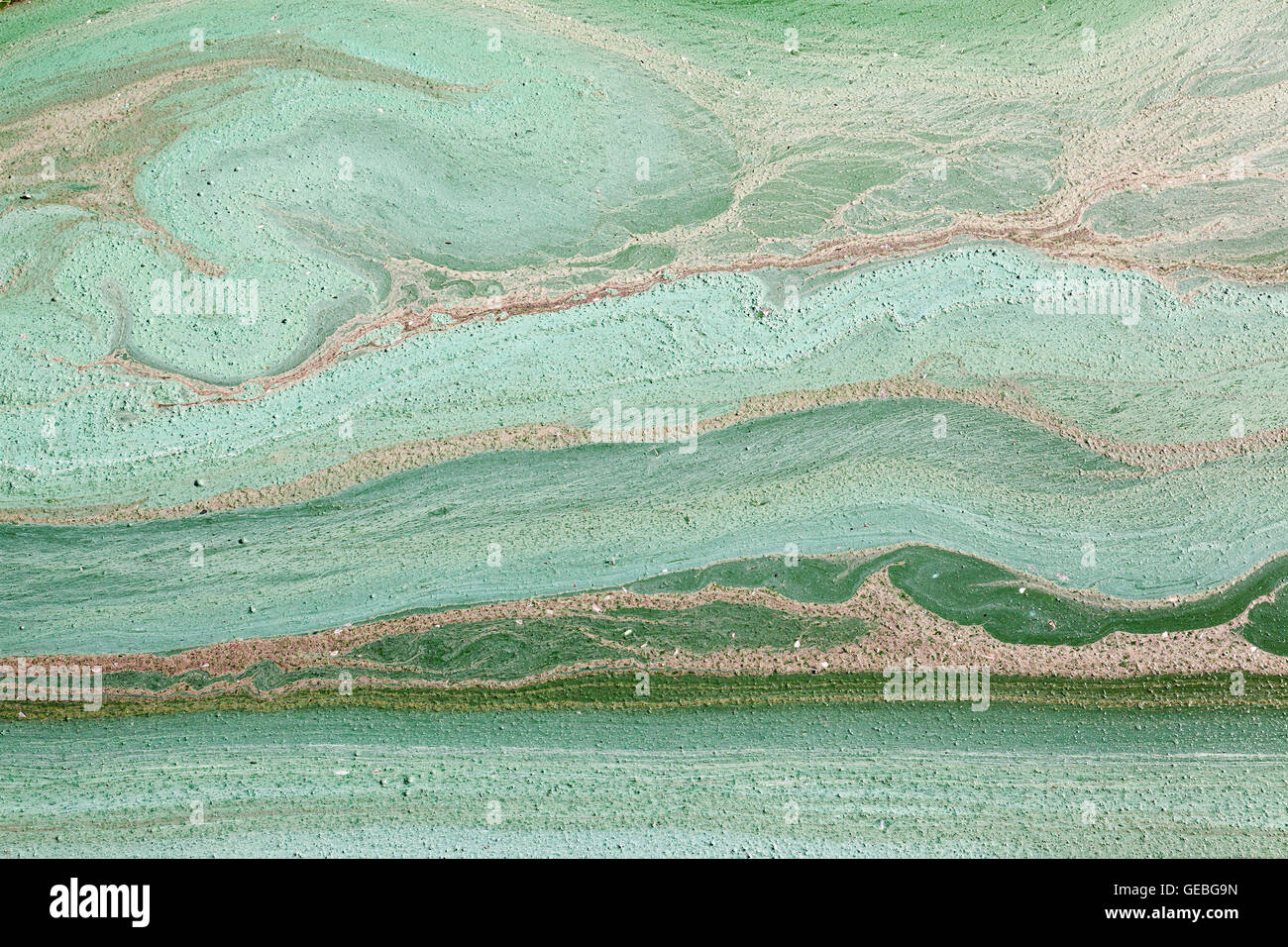 Water in the swamp Stock Photo - Alamy