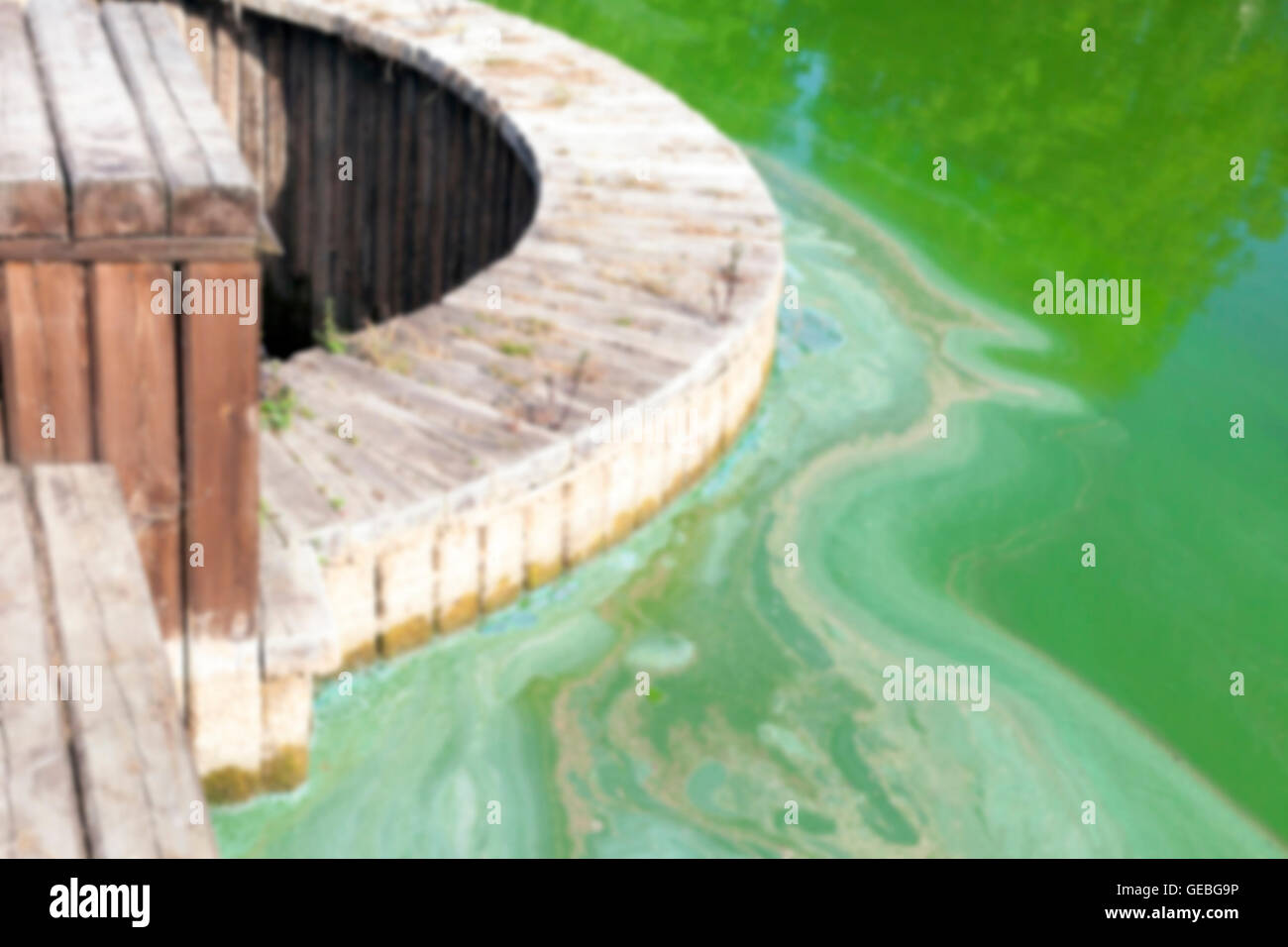 Water in the swamp Stock Photo - Alamy