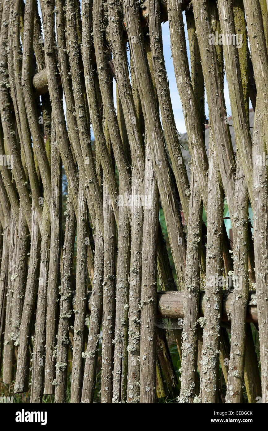 fence of twigs Stock Photo - Alamy