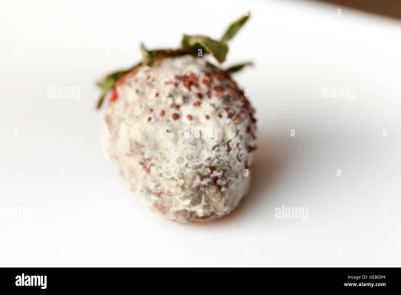 Strawberry with mold Stock Photo - Alamy
