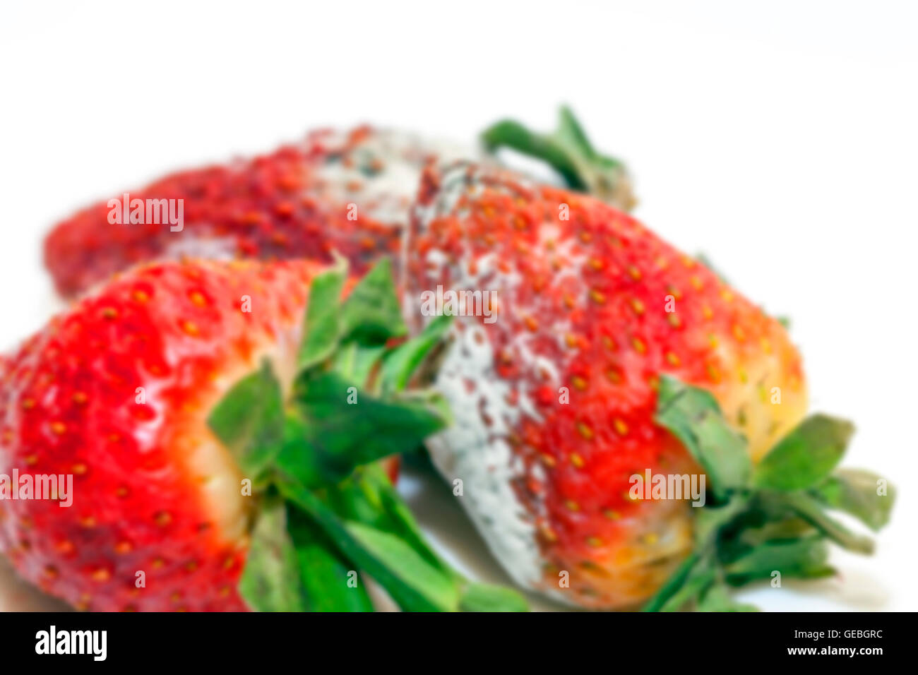Moldy Strawberries Stock Photos & Moldy Strawberries Stock Images - Alamy