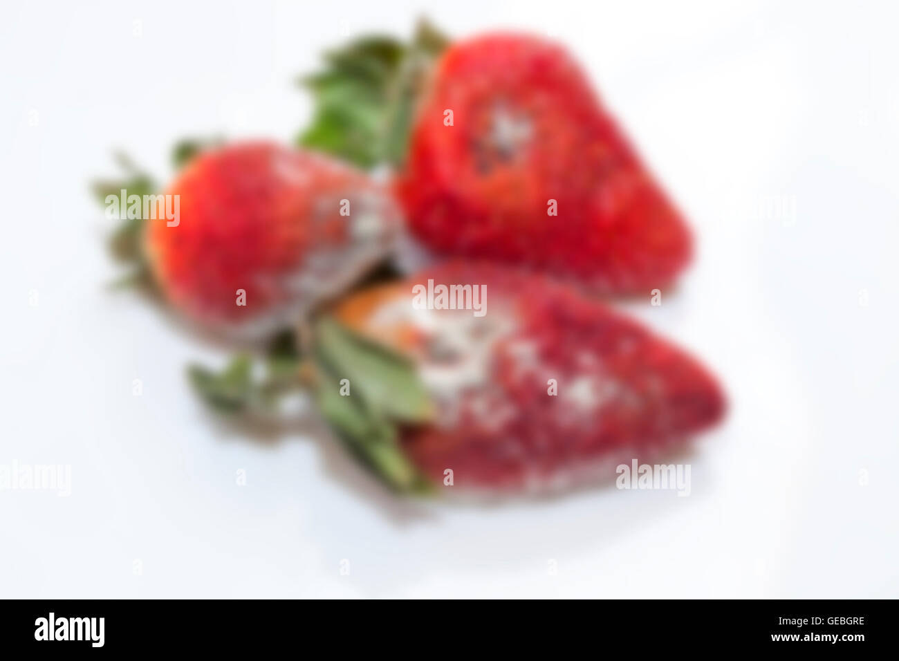 Moldy strawberry hi-res stock photography and images - Alamy