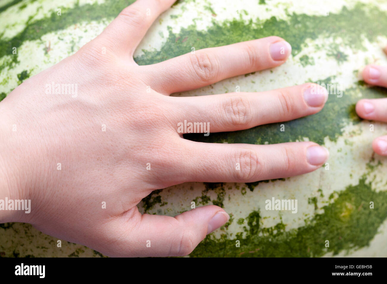 hand on watermelon Stock Photo - Alamy