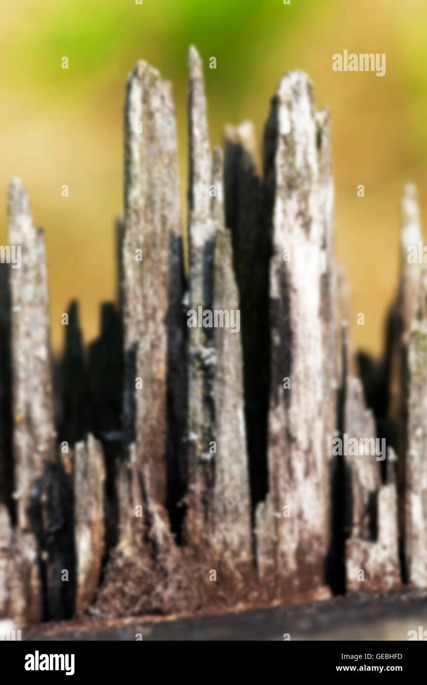 old wood fracture Stock Photo - Alamy