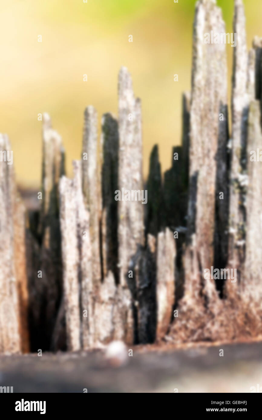 old wood fracture Stock Photo - Alamy