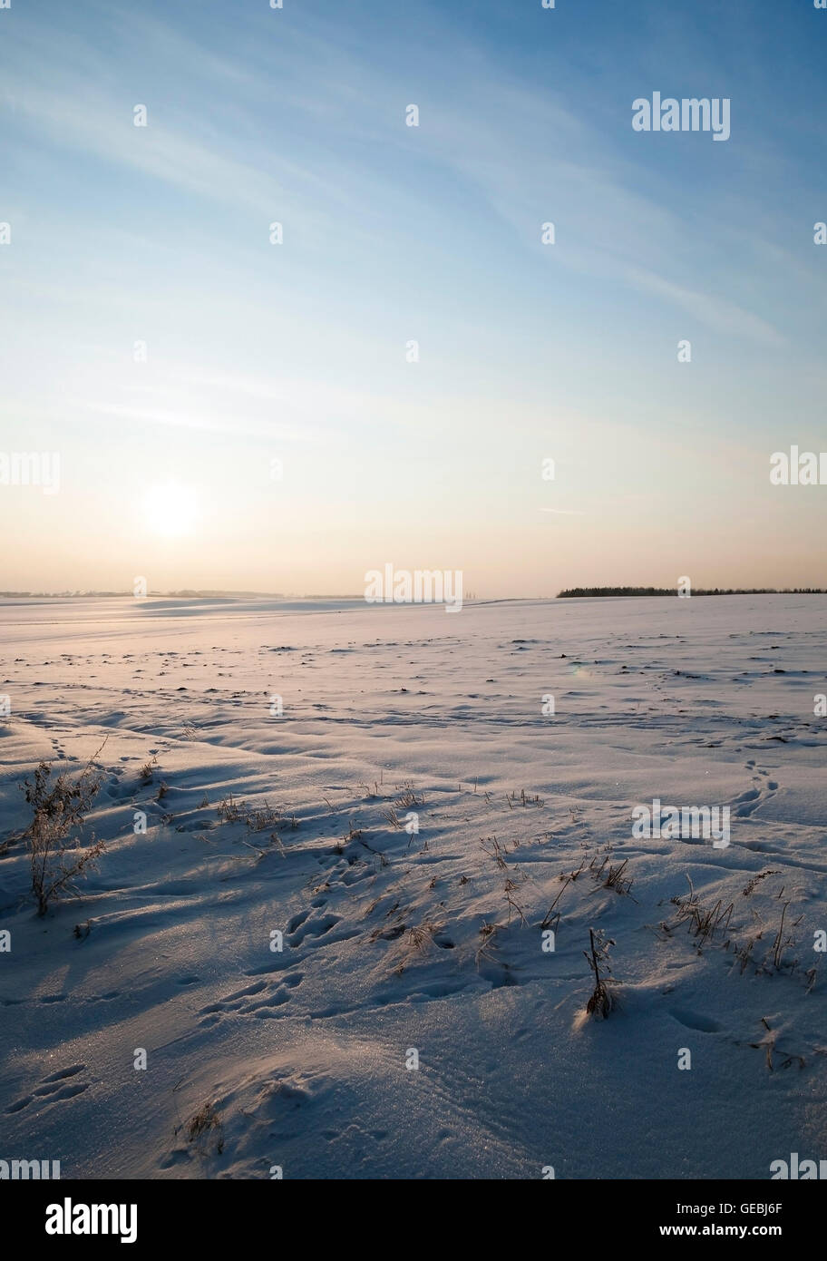 snow covered field Stock Photo - Alamy