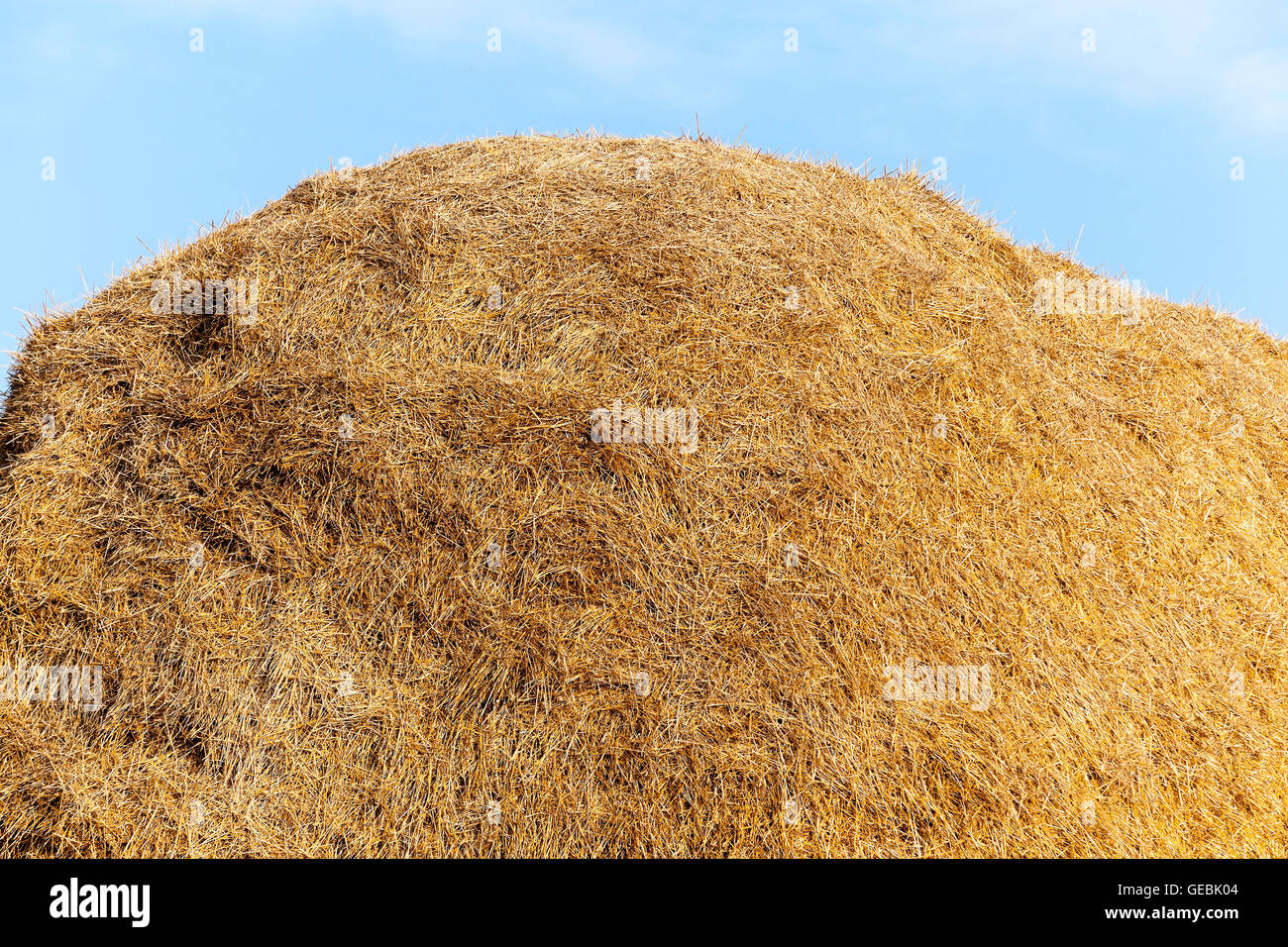 Ellipse cutting hi-res stock photography and images - Alamy