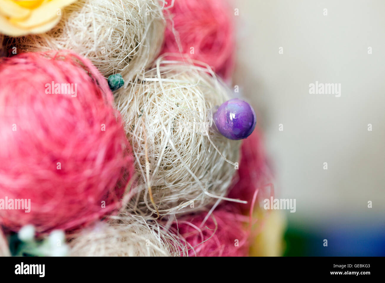 Sisal tree hi-res stock photography and images - Alamy