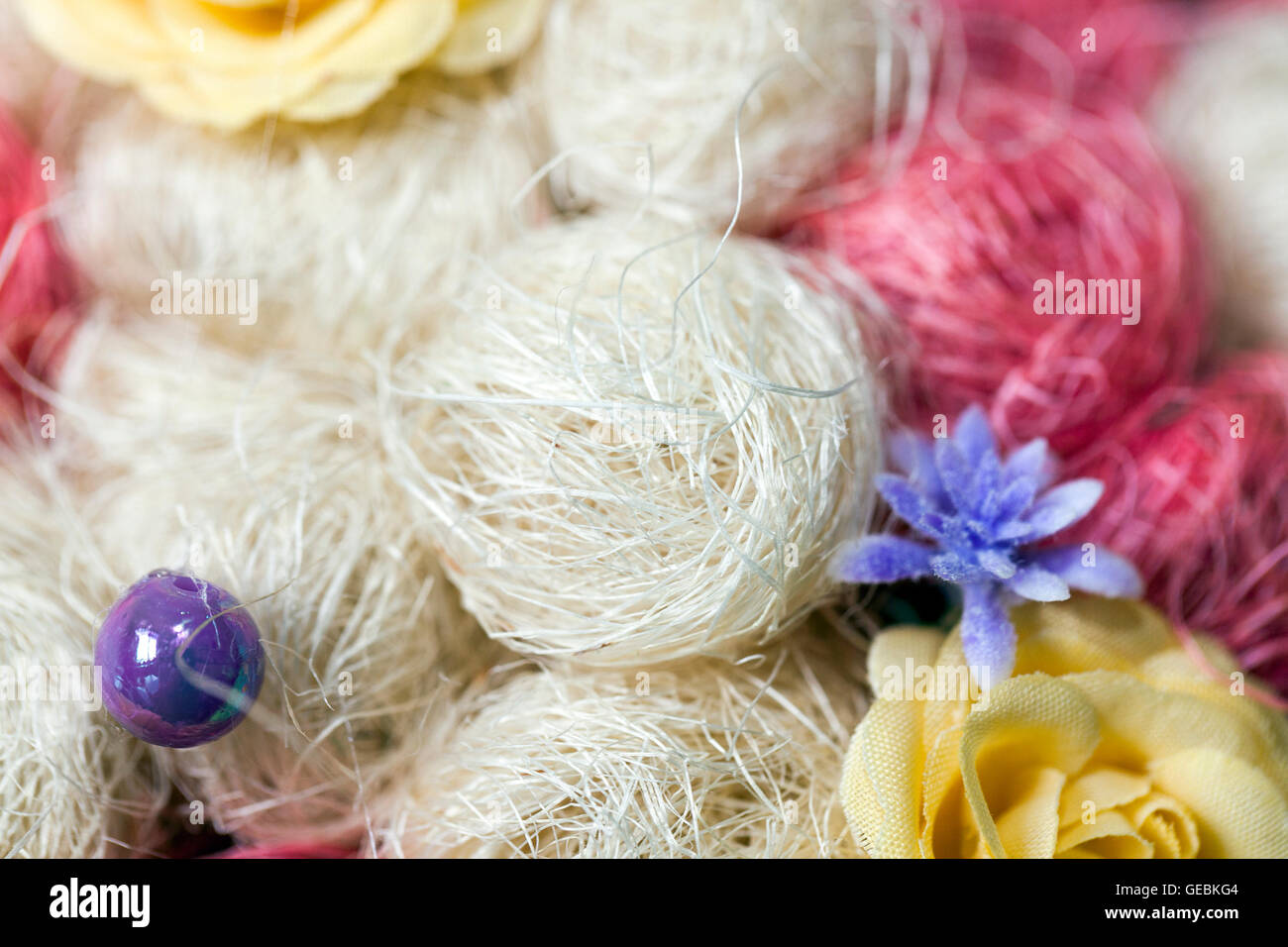 Tree of sisal Stock Photo - Alamy