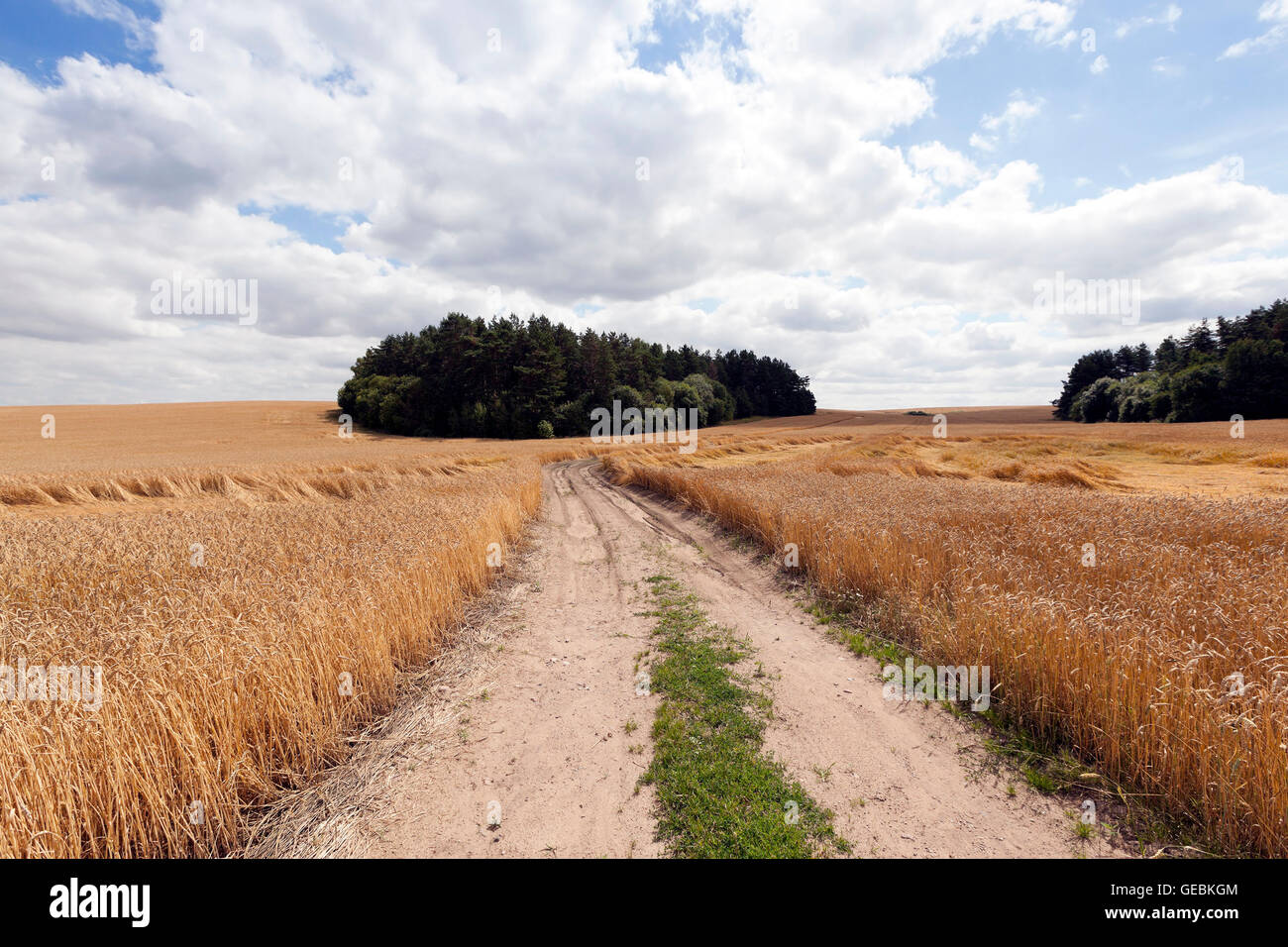 Rural paved road Stock Photo - Alamy