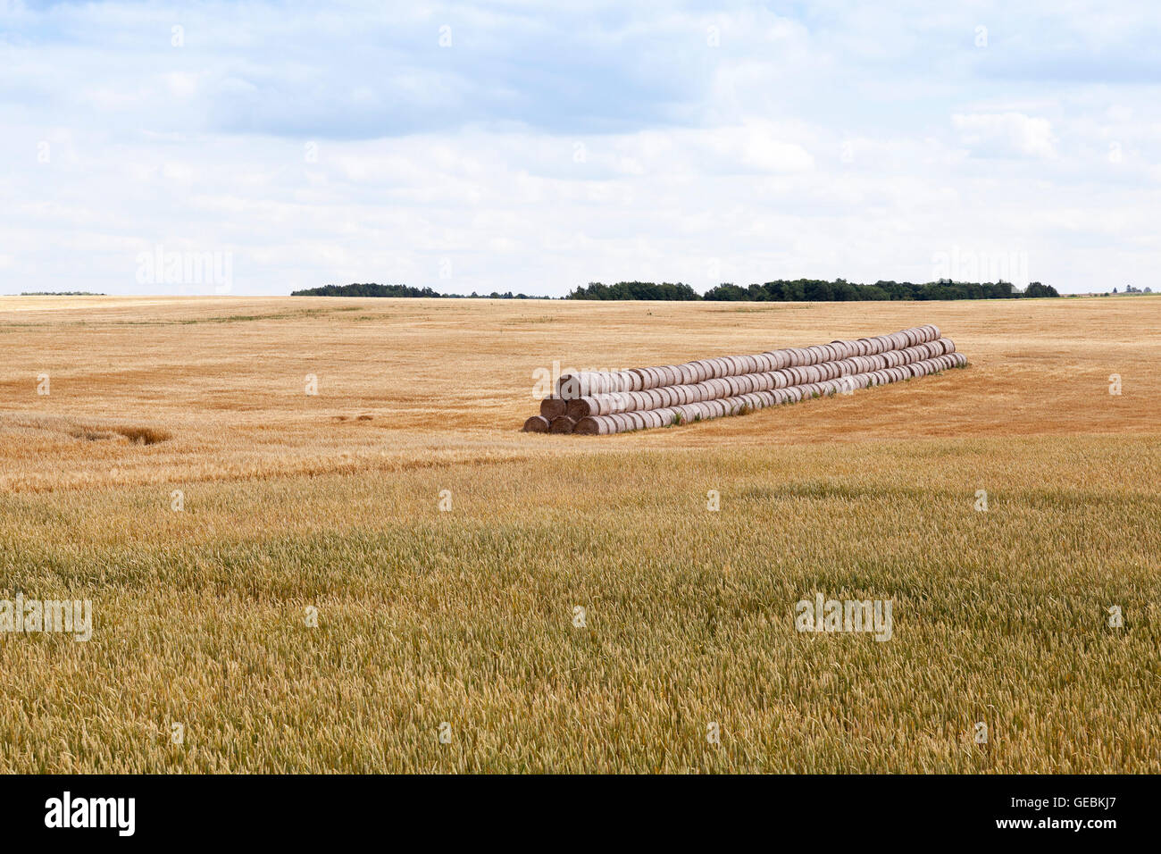 stack of wheat straw Stock Photo - Alamy