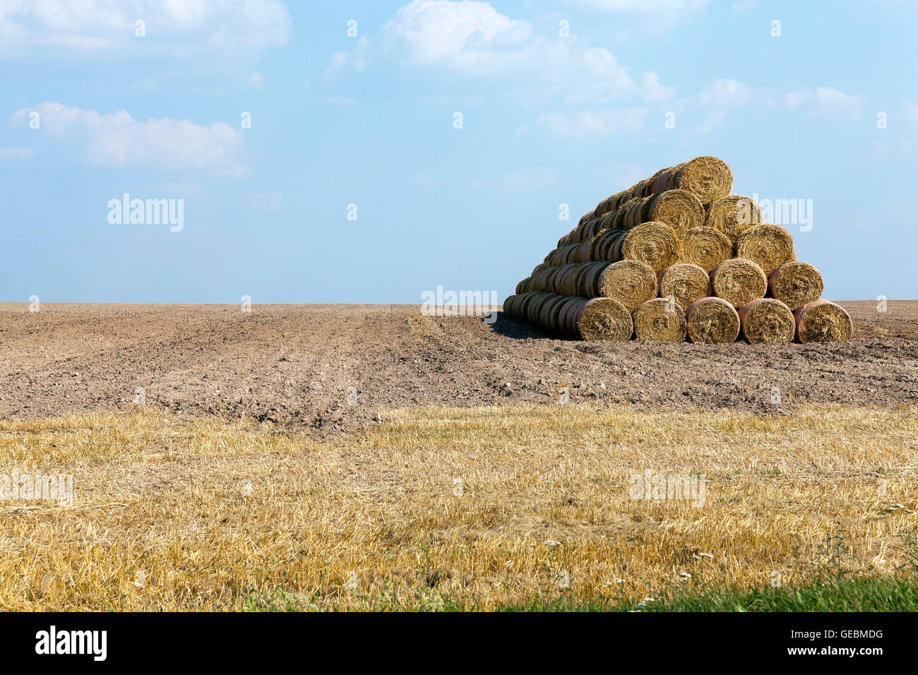 farm field cereals Stock Photo - Alamy