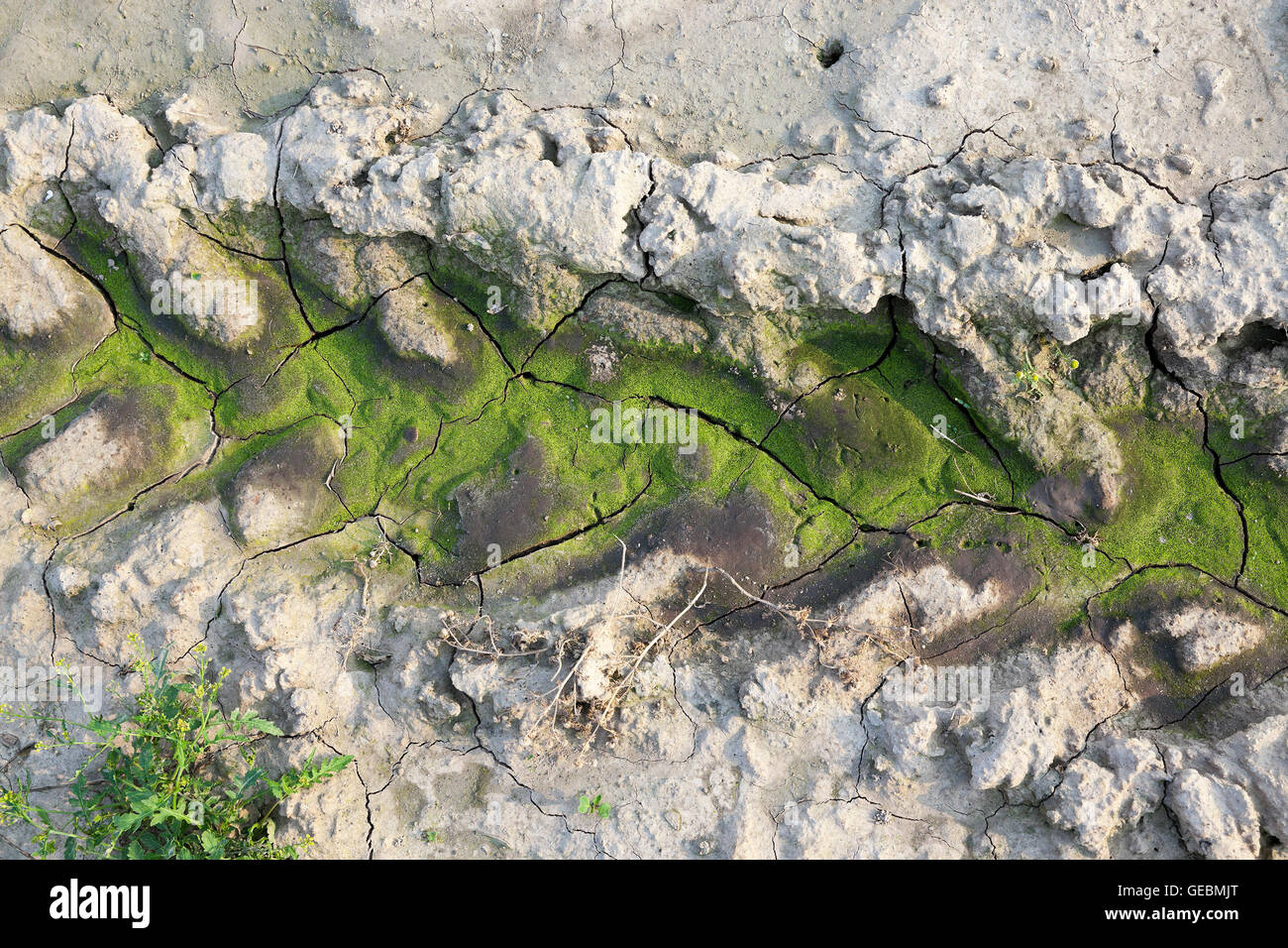 Dust and mold hi-res stock photography and images - Alamy