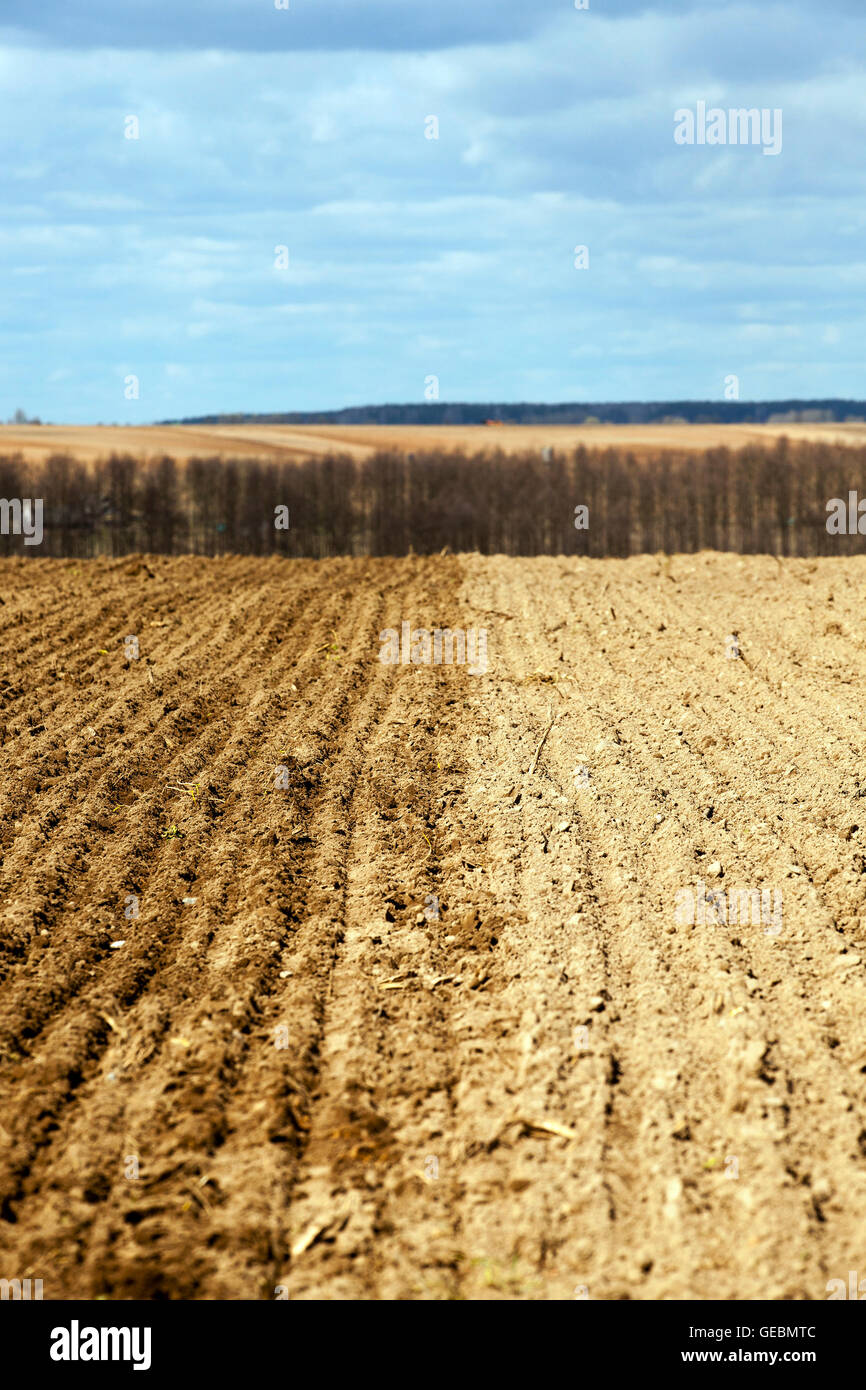 farm field cereals Stock Photo - Alamy