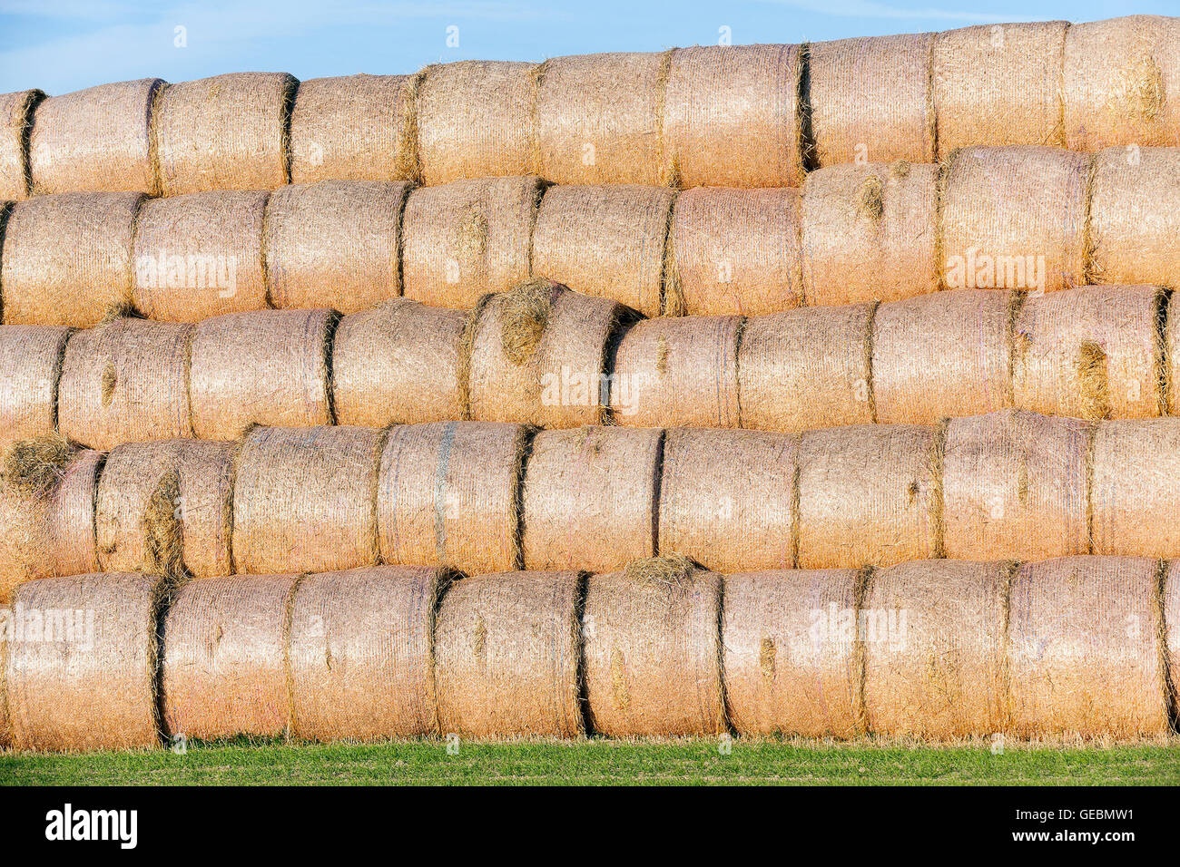 stack of straw in the field Stock Photo - Alamy