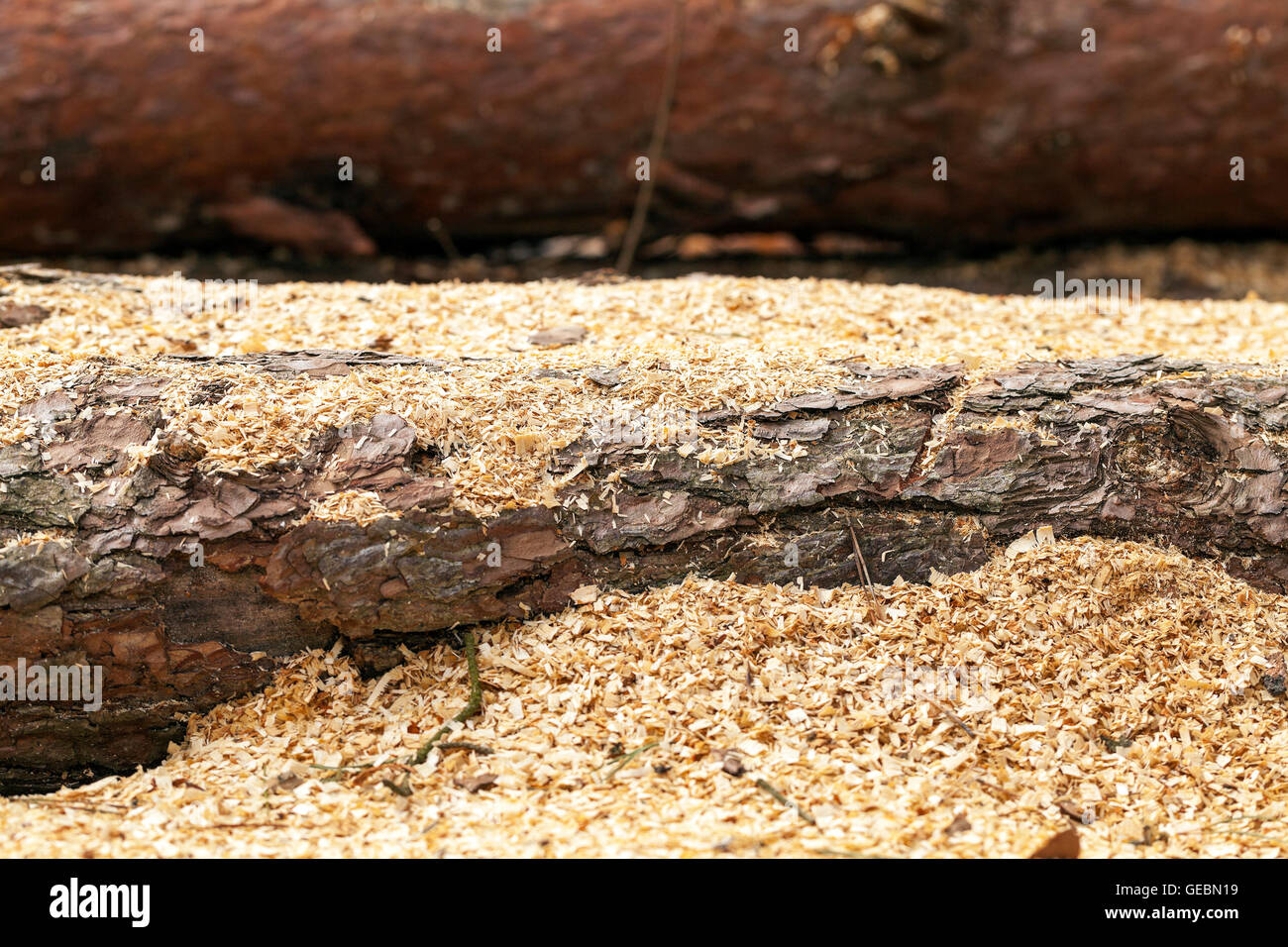 timber. old logs Stock Photo - Alamy
