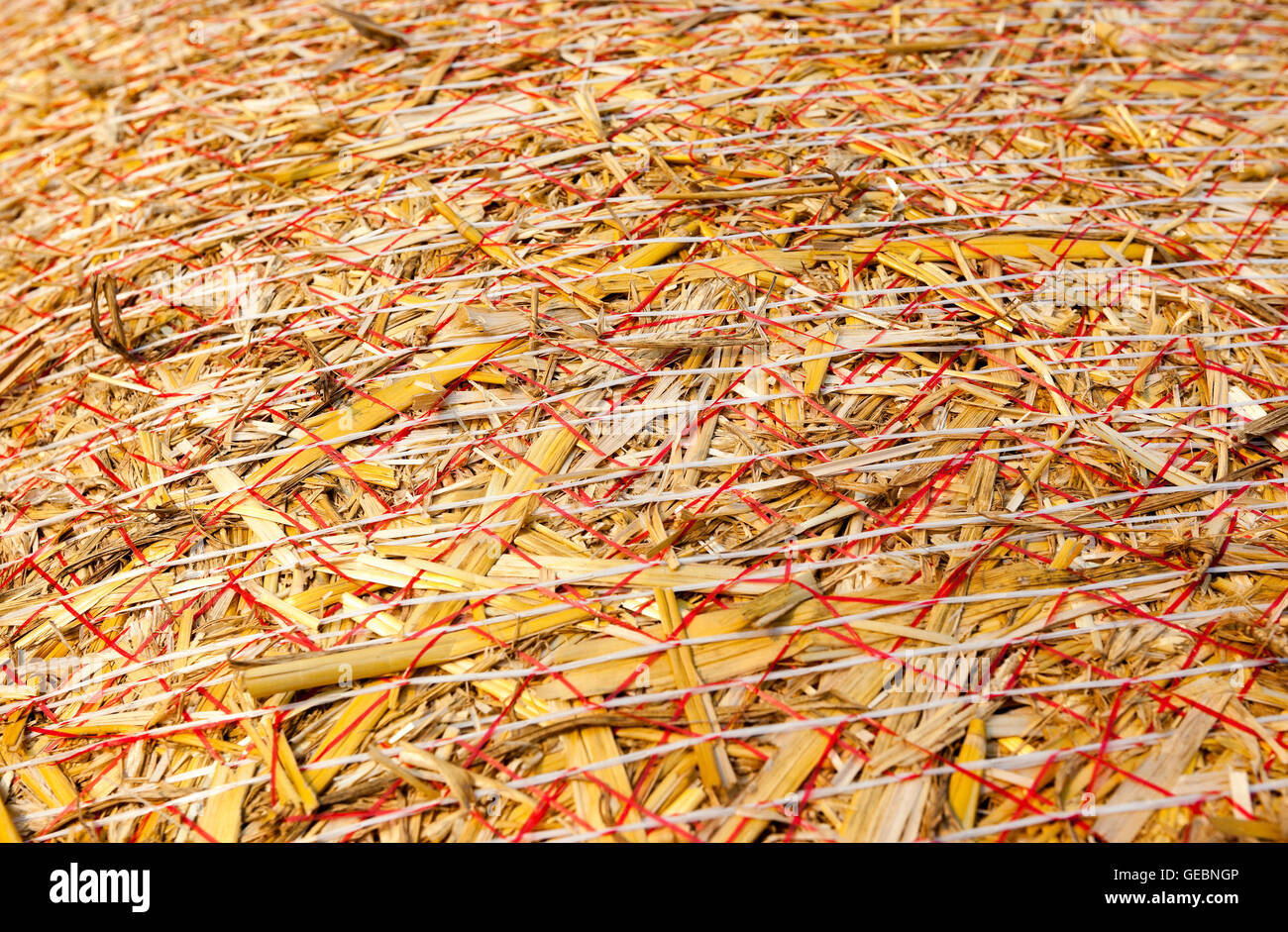 straw in the field Stock Photo - Alamy