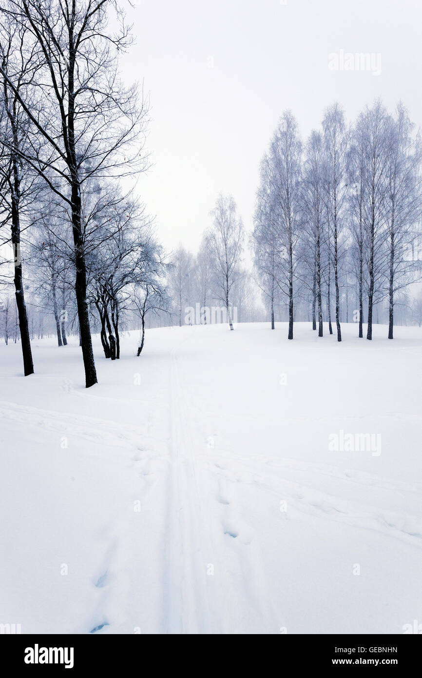 winter road , track Stock Photo - Alamy