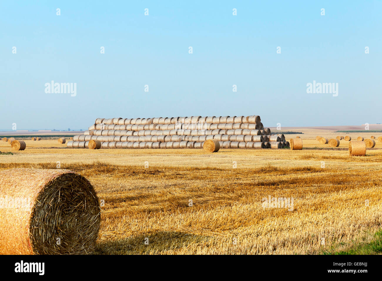 stack of straw in the field Stock Photo - Alamy