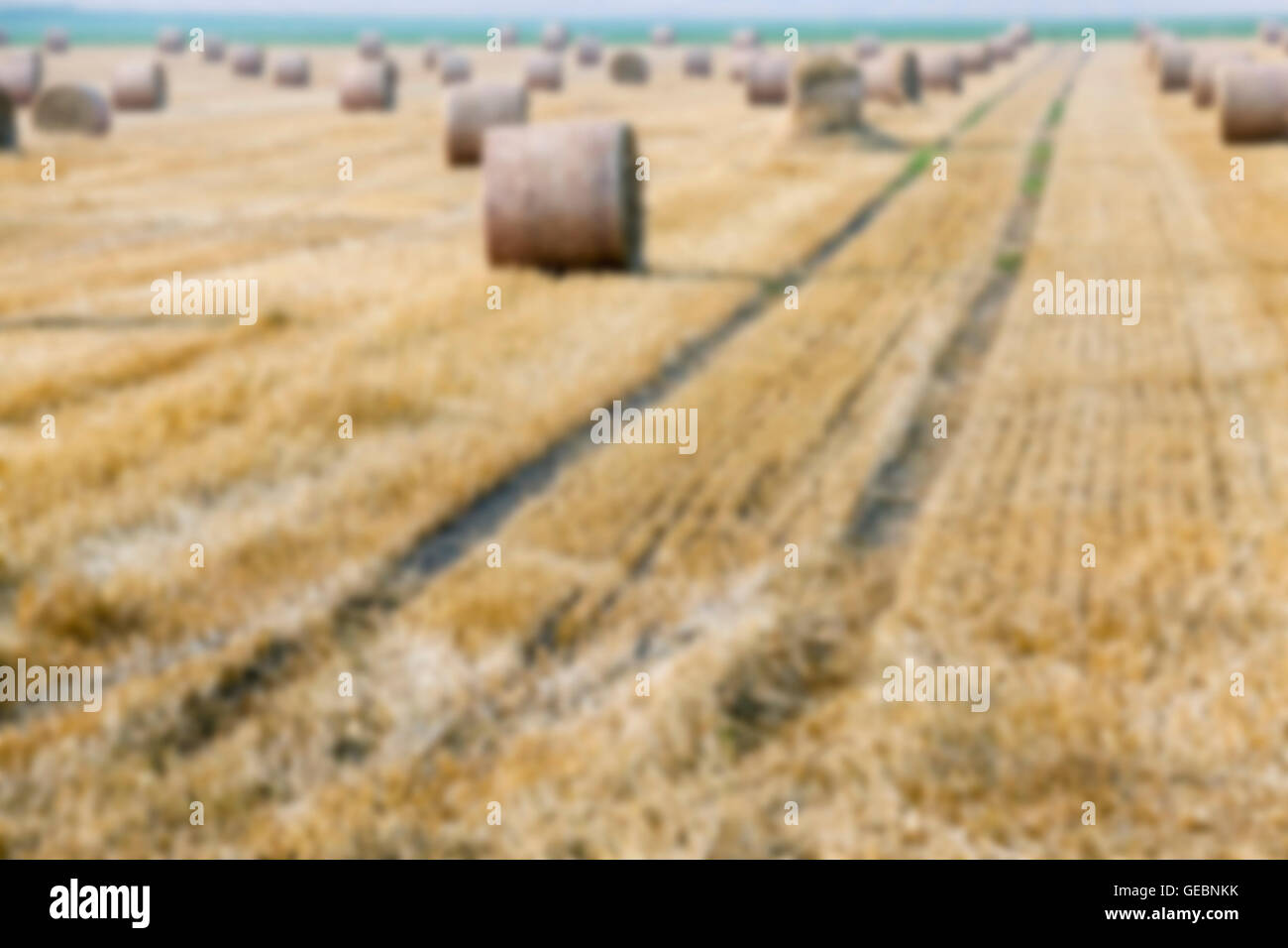 stack of straw in the field Stock Photo - Alamy