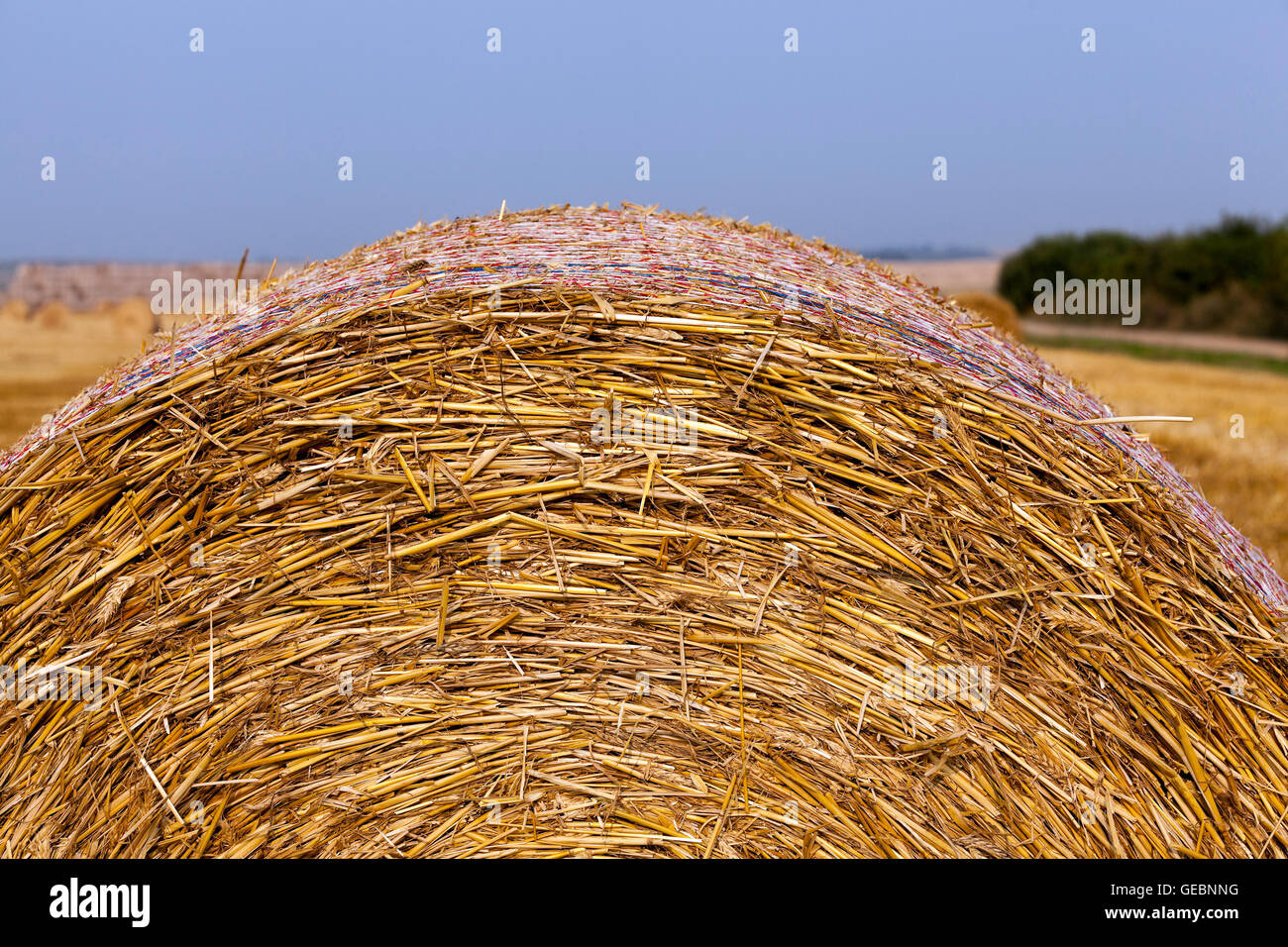 stack of straw in the field Stock Photo - Alamy