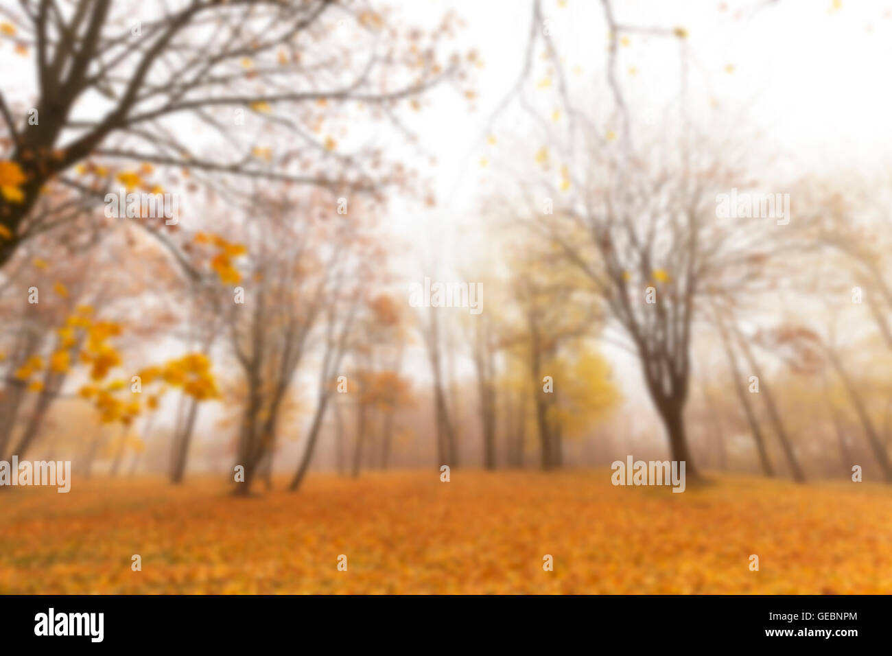 Autumn Park, overcast Stock Photo - Alamy
