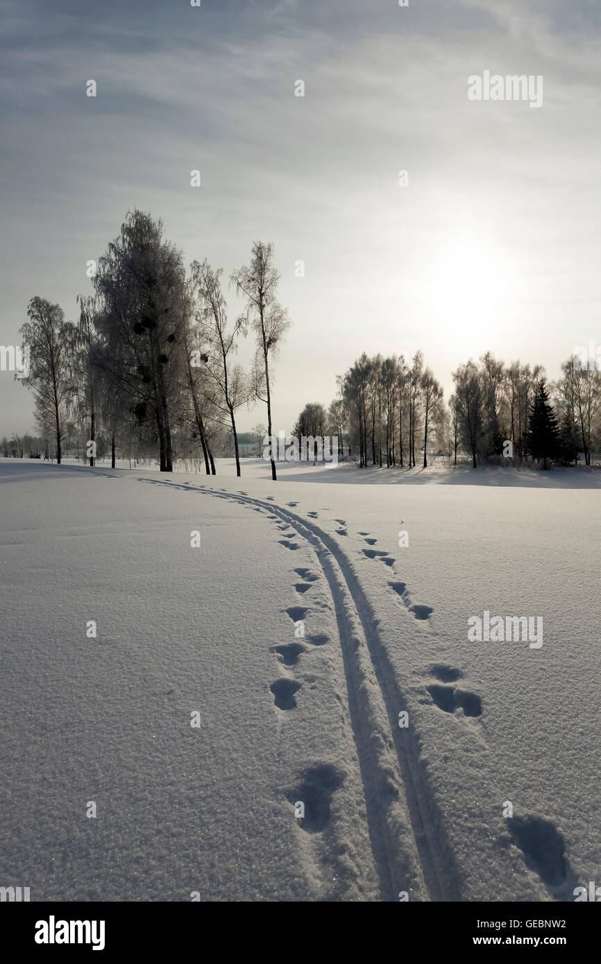 Frozen racetrack hi-res stock photography and images - Alamy