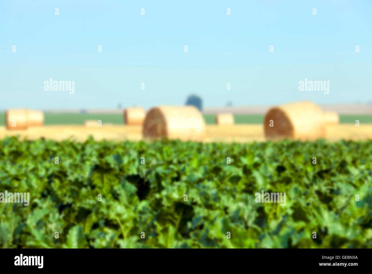 Tall haystacks hi-res stock photography and images - Alamy