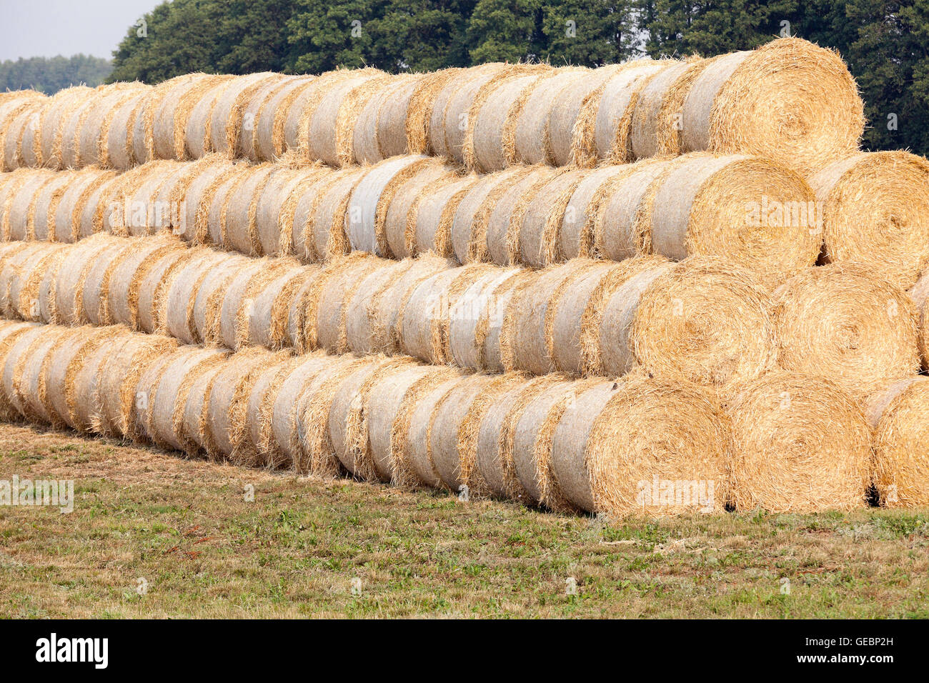 stack of wheat straw Stock Photo - Alamy