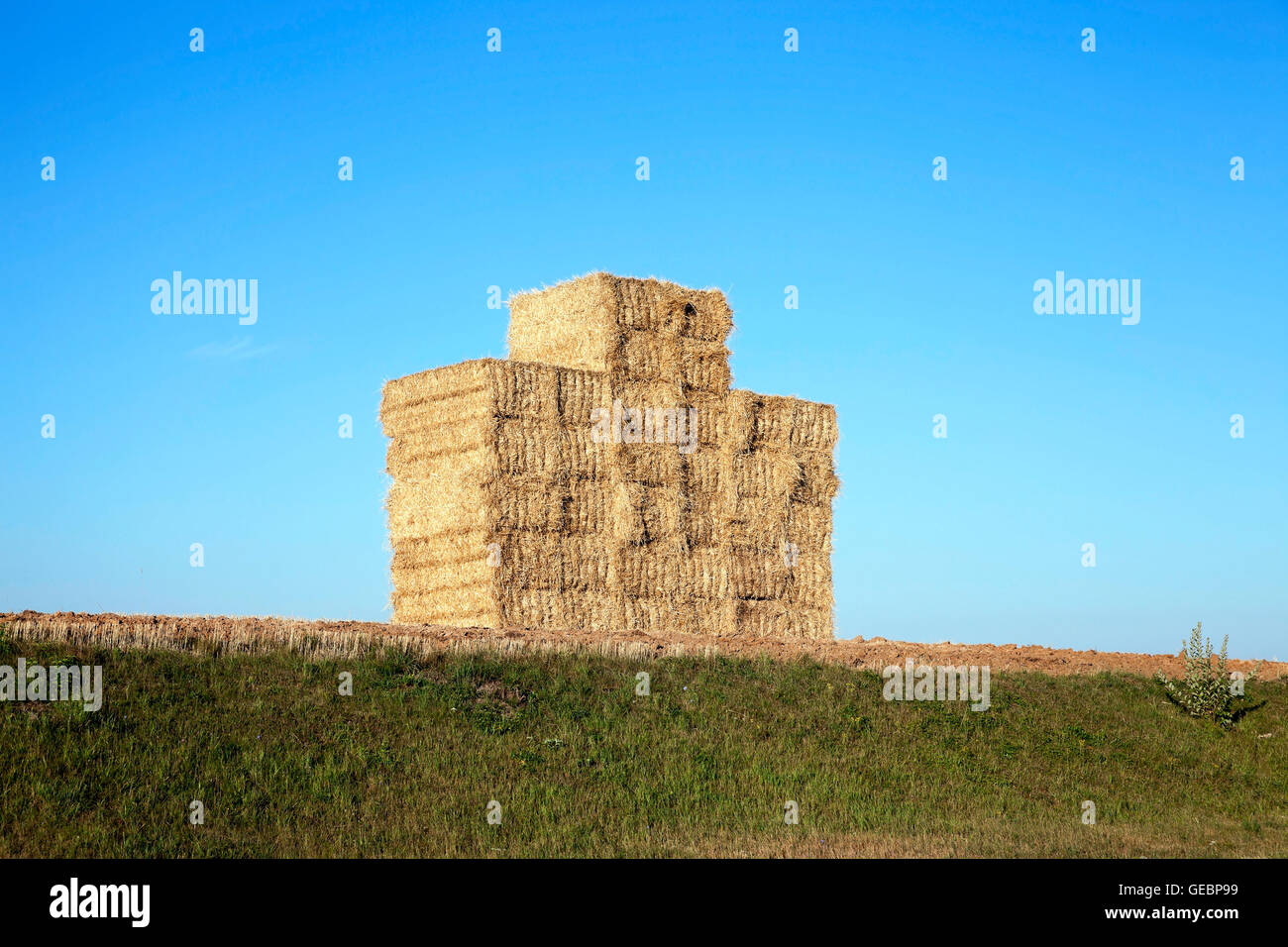 stack of wheat straw Stock Photo - Alamy