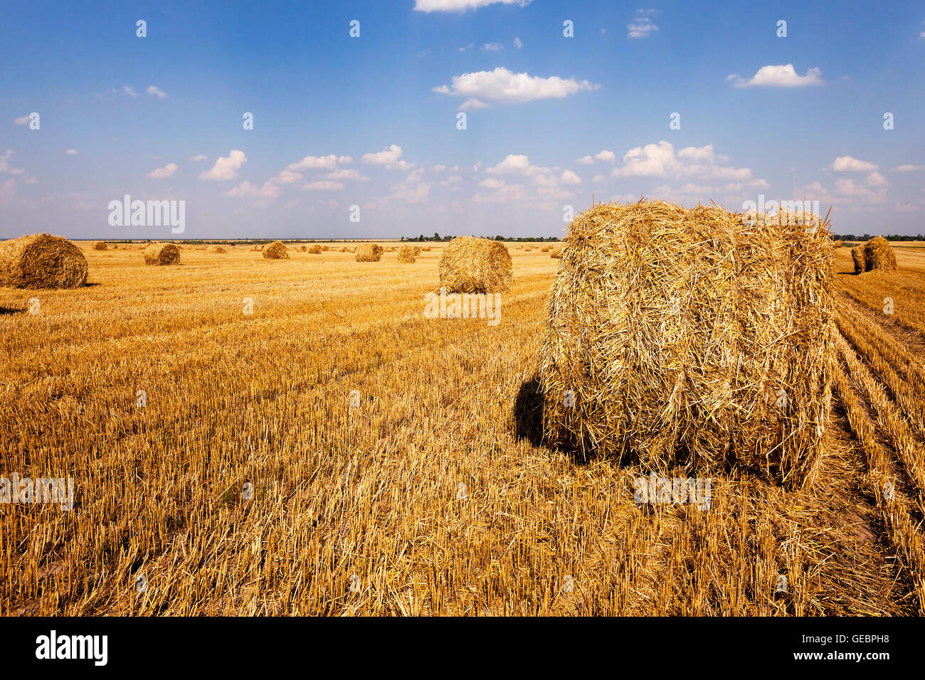 Stack of straw Stock Photo - Alamy