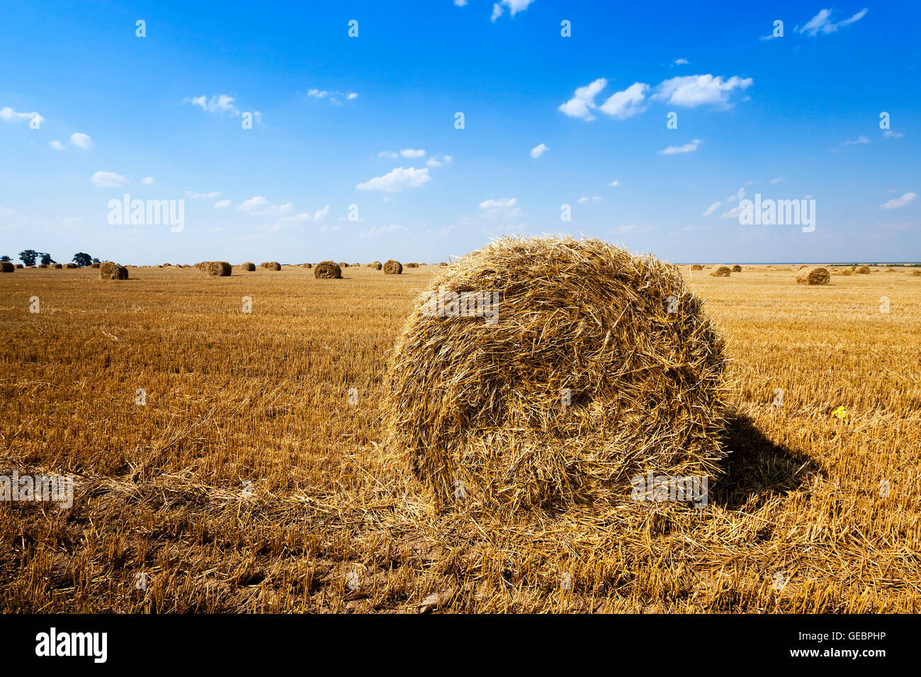 Stack of straw Stock Photo - Alamy