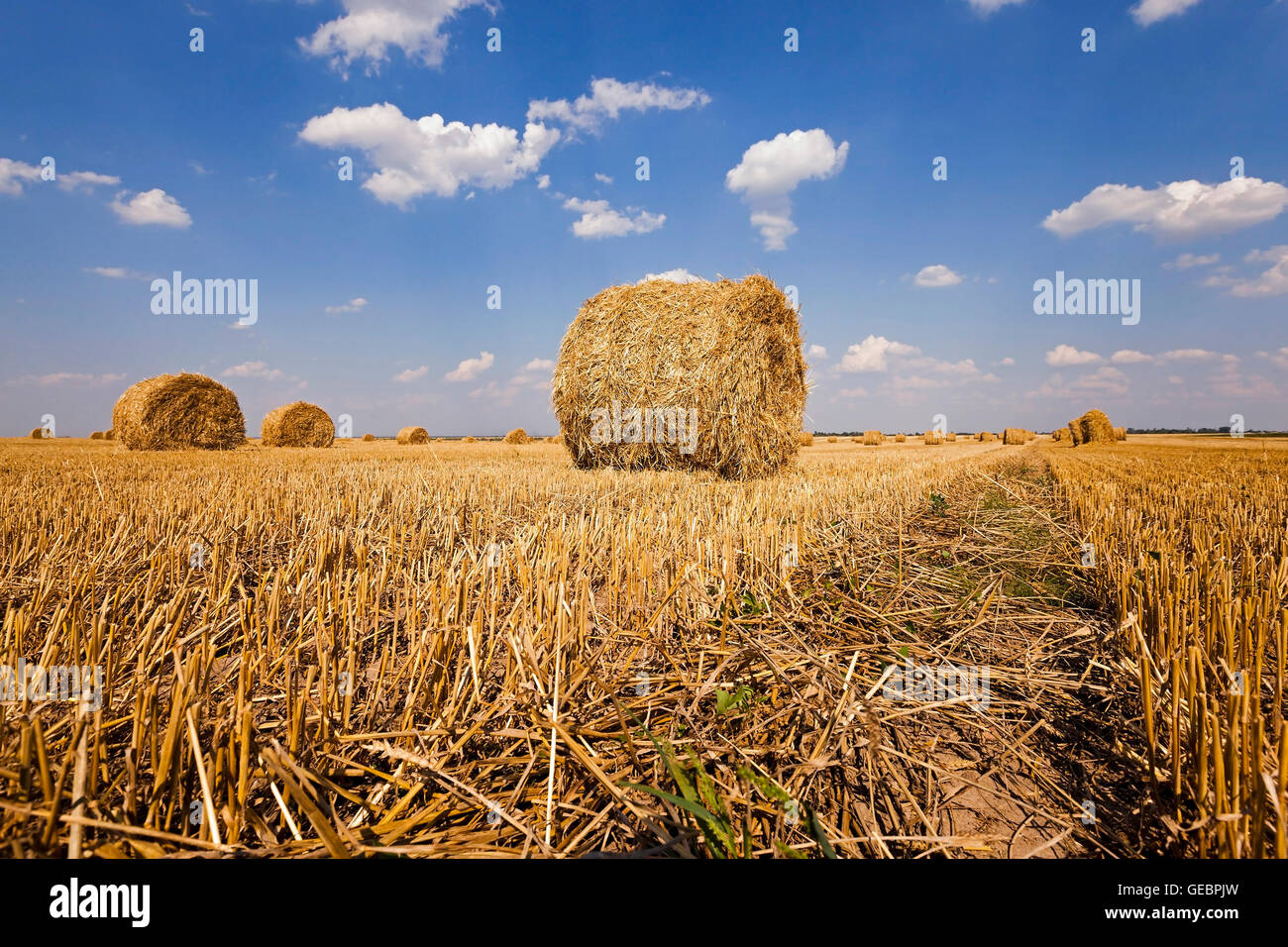 Stack of straw Stock Photo - Alamy