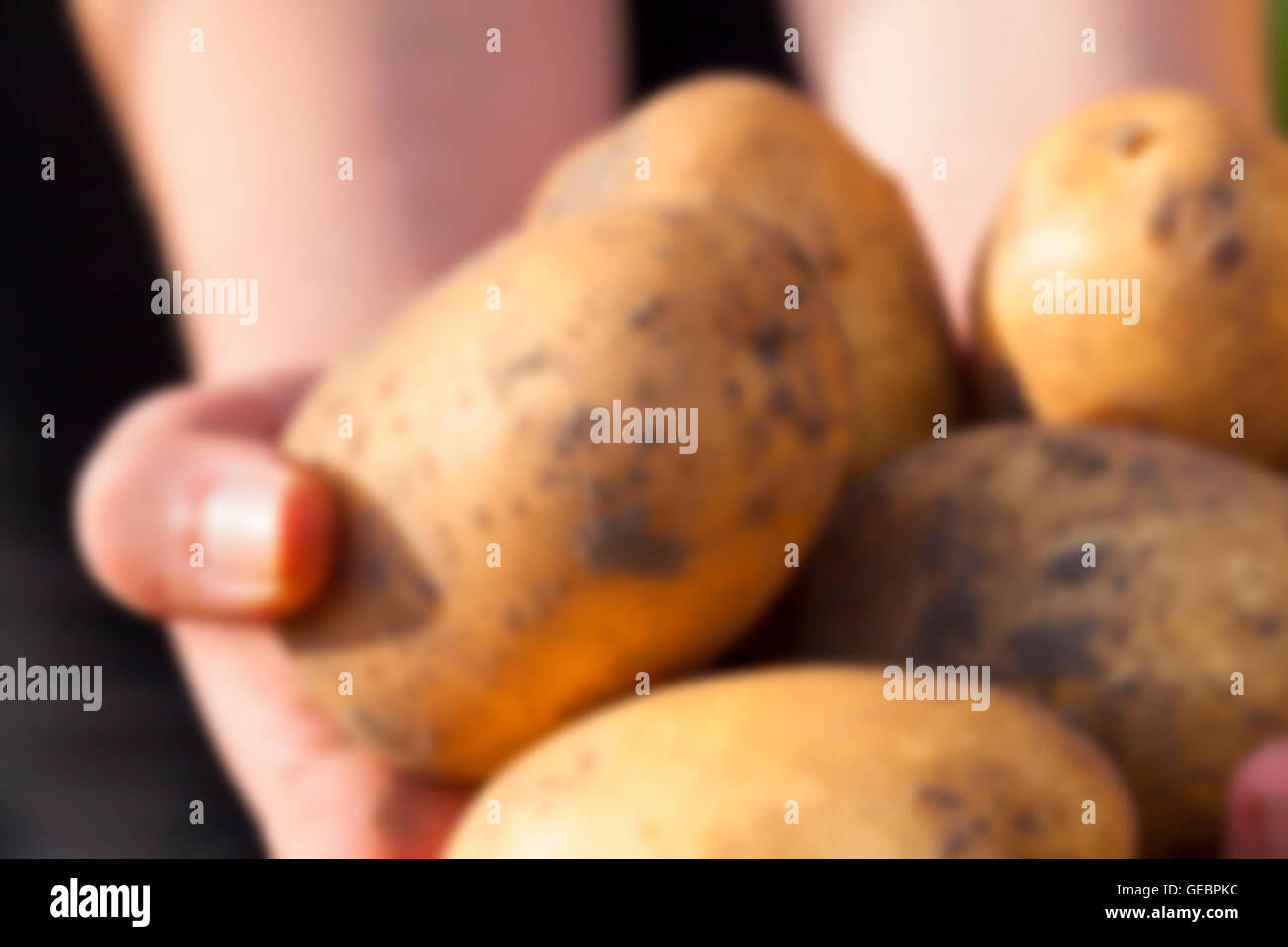 Human agriculture hi-res stock photography and images - Alamy