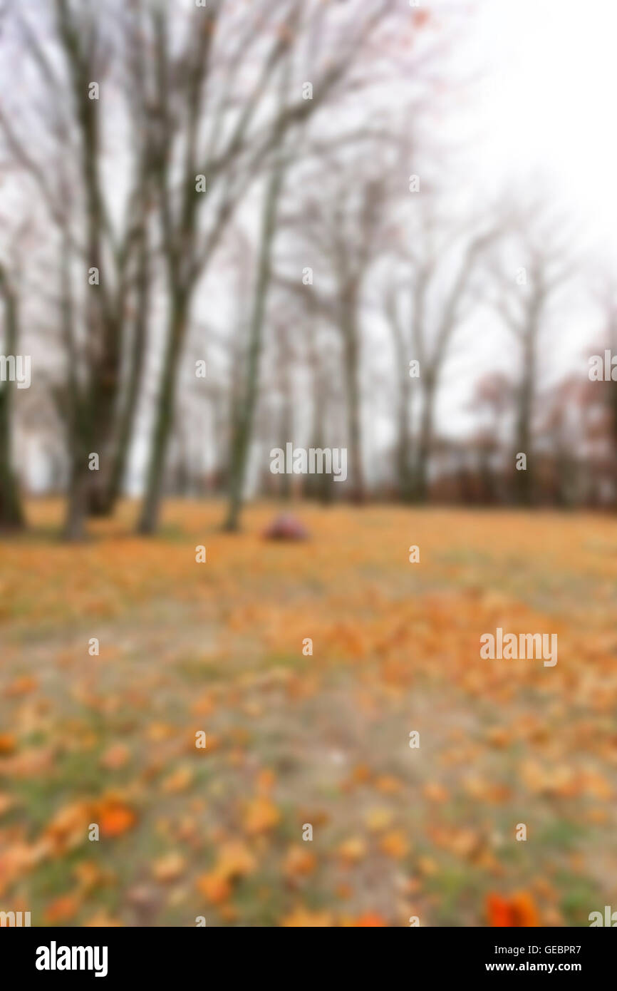 Depressing autumn hi-res stock photography and images - Alamy