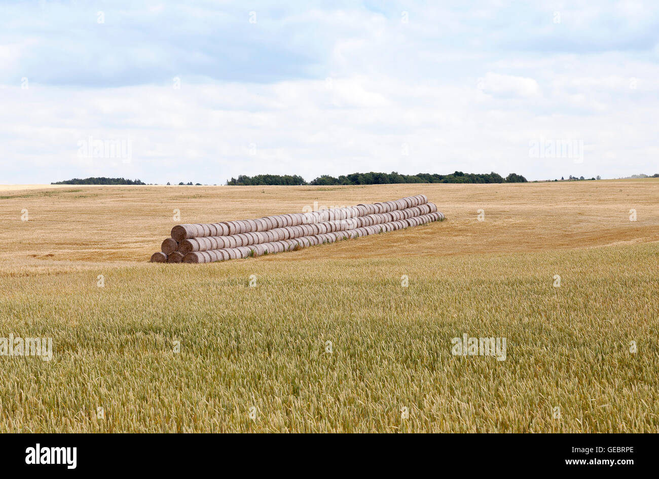 stack of wheat straw Stock Photo - Alamy
