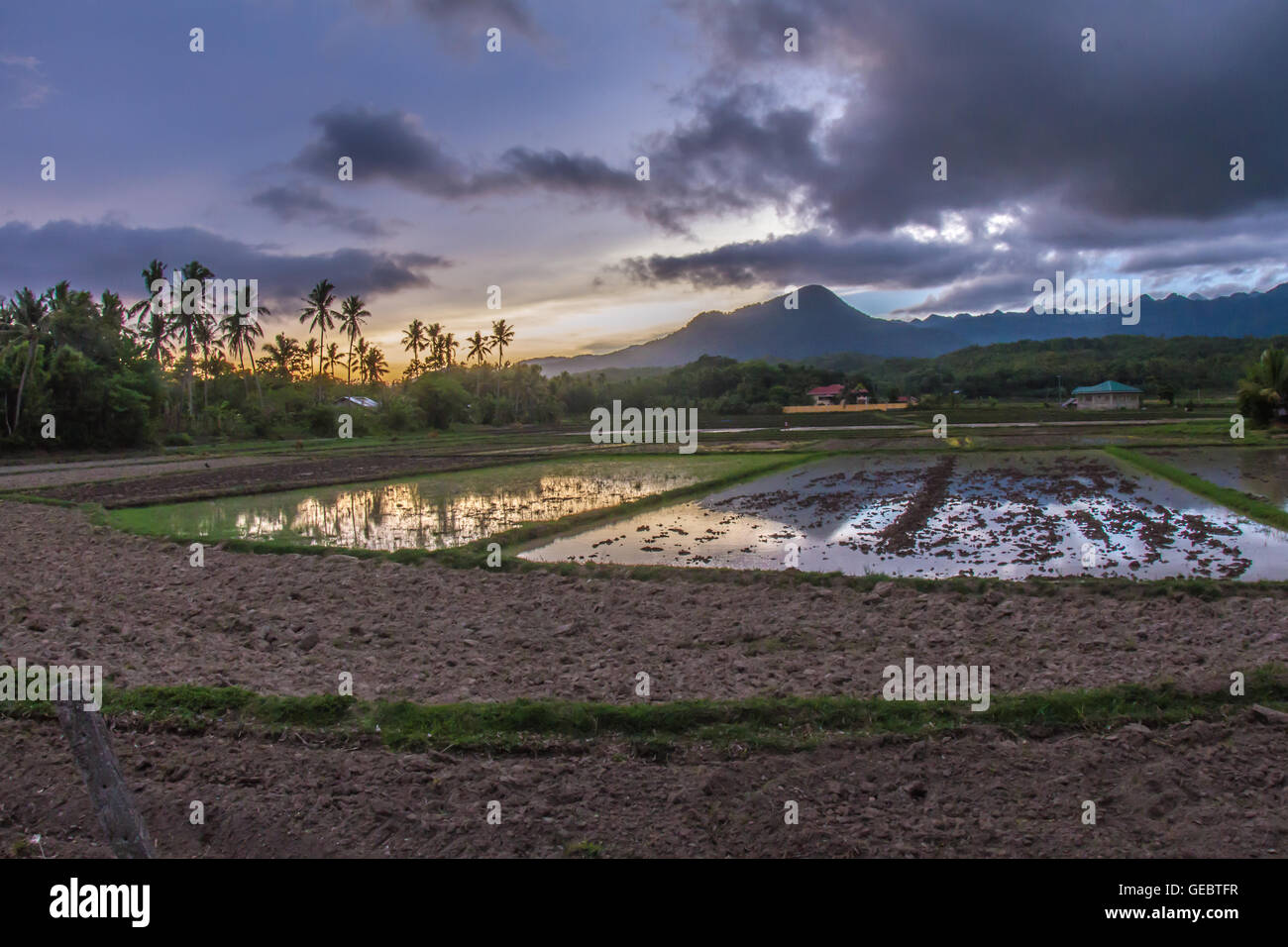 Philippines rice field hi-res stock photography and images - Alamy