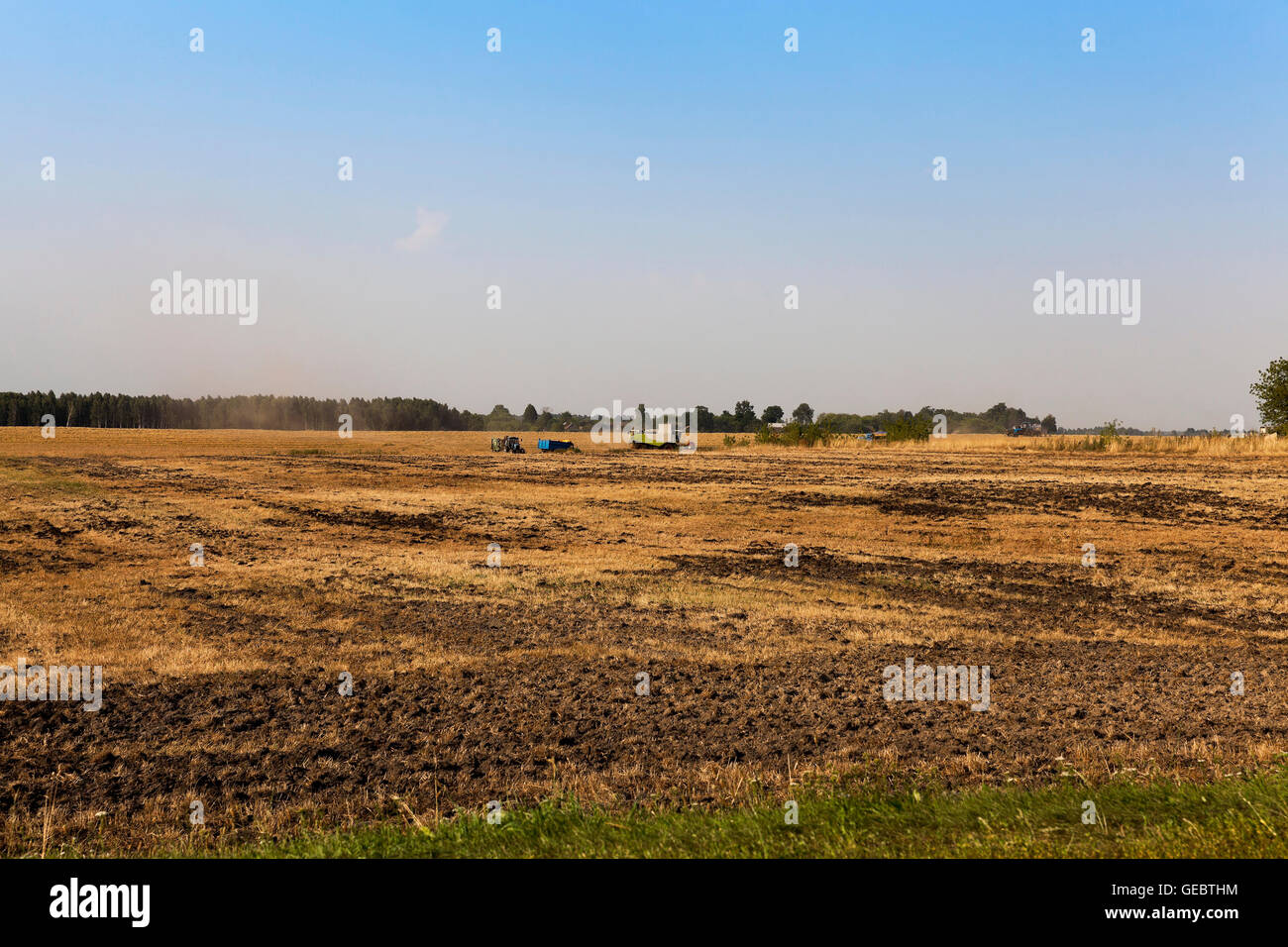 farm field cereals Stock Photo - Alamy