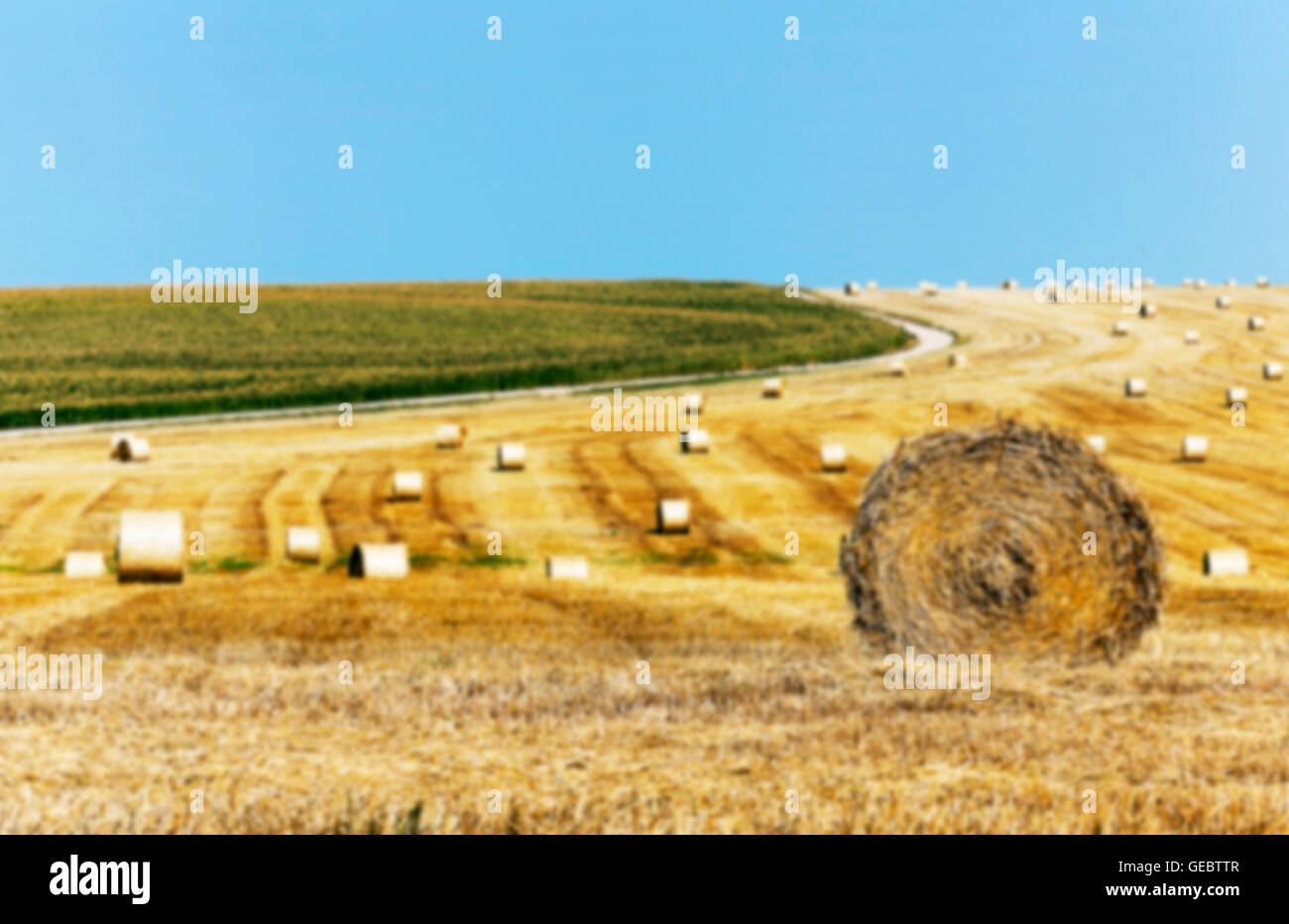 stack of straw in the field Stock Photo - Alamy