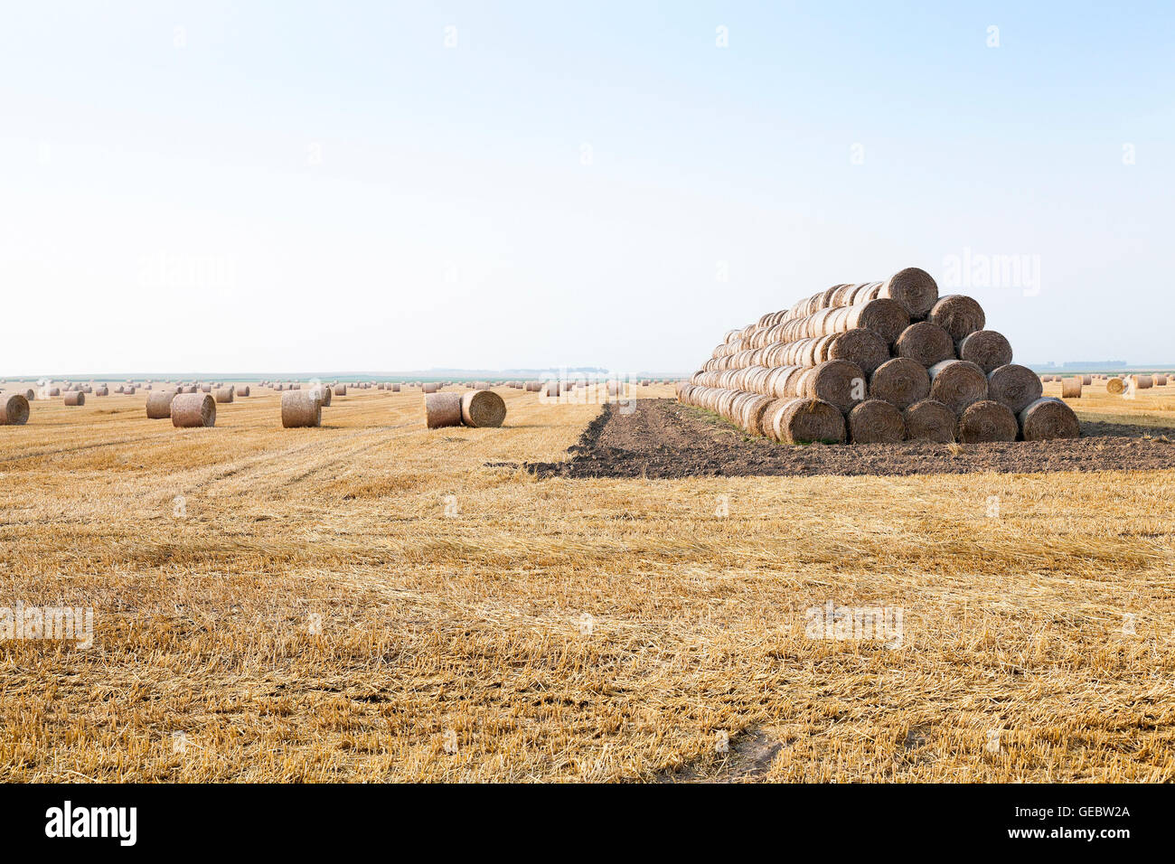 stack of straw in the field Stock Photo - Alamy