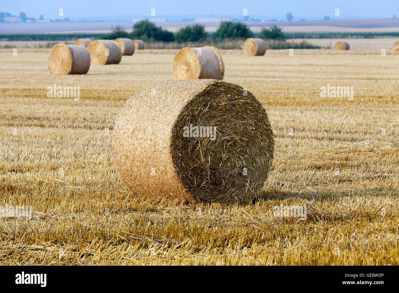 stack of straw in the field Stock Photo - Alamy