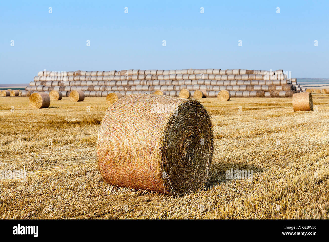 stack of straw in the field Stock Photo - Alamy