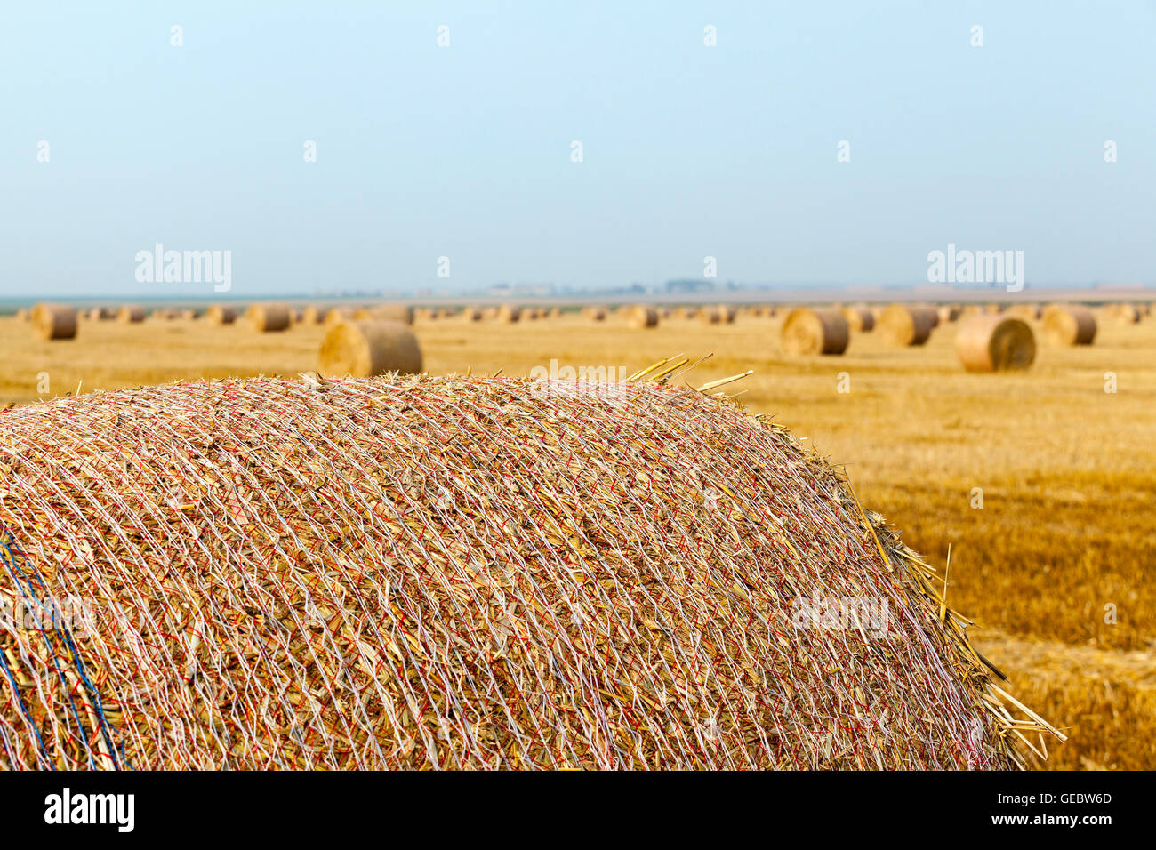 stack of straw in the field Stock Photo - Alamy